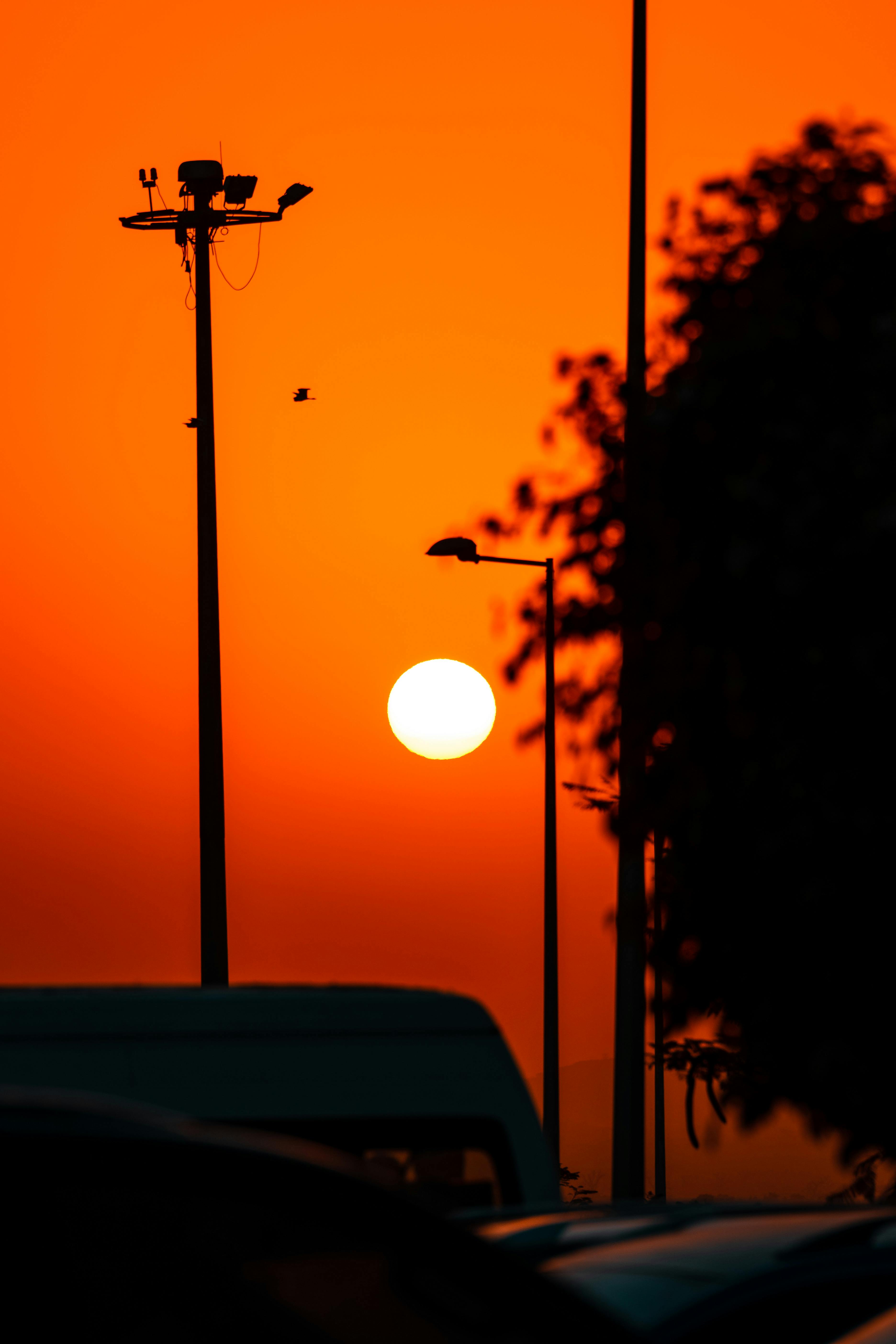Red Sunset over Street of Town · Free Stock Photo