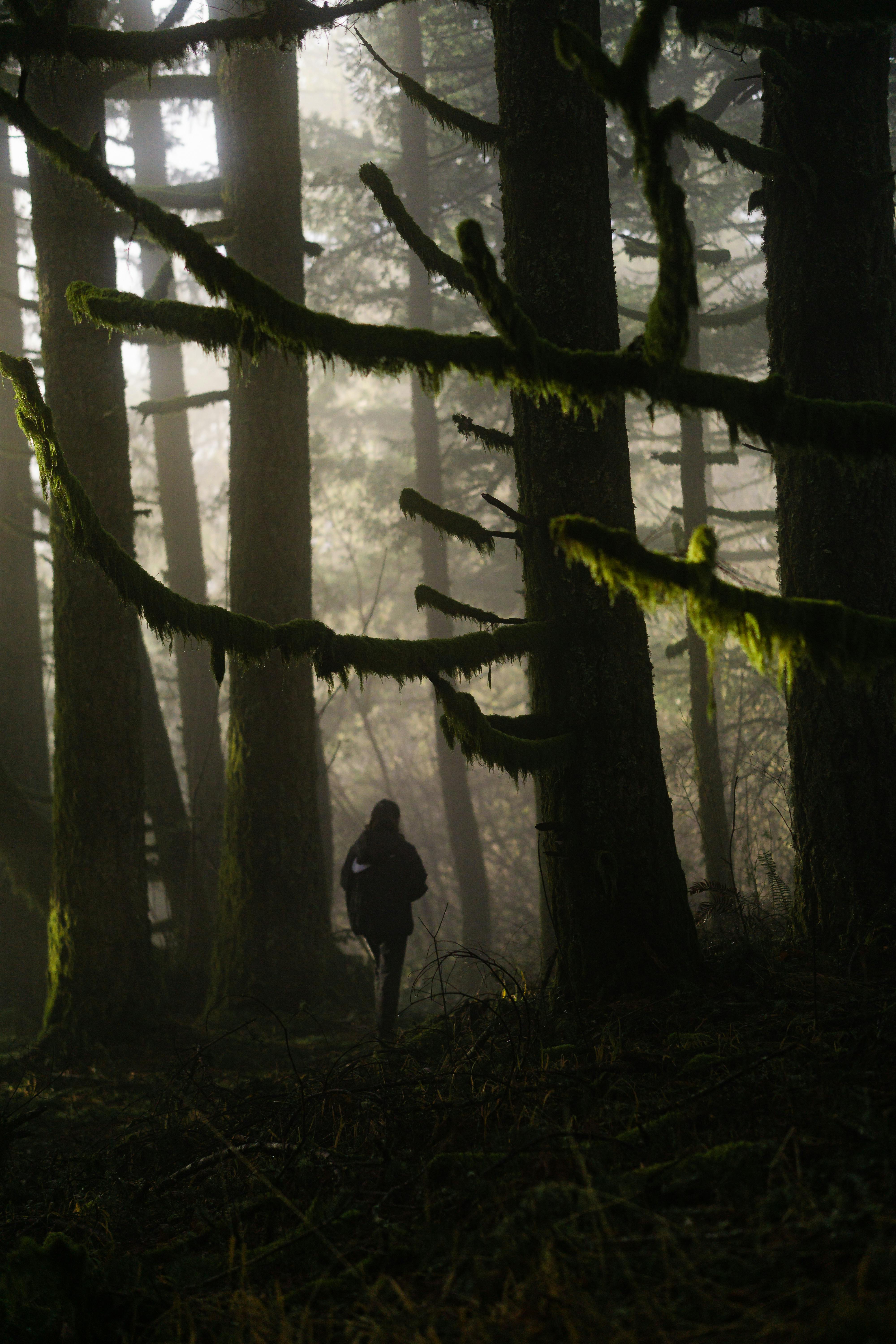 Man Standing In Front Of Tree · Free Stock Photo