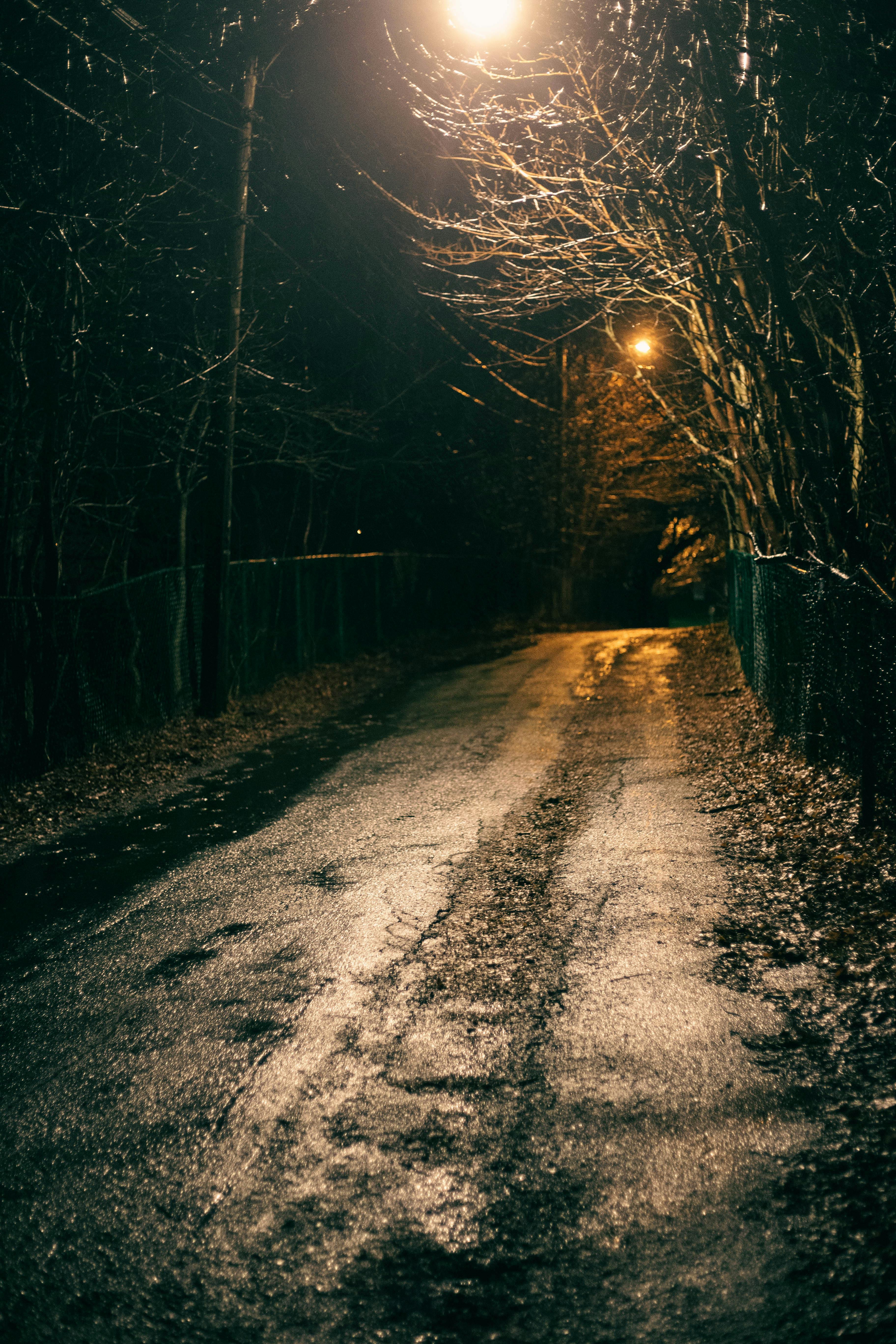 A Road at Night · Free Stock Photo