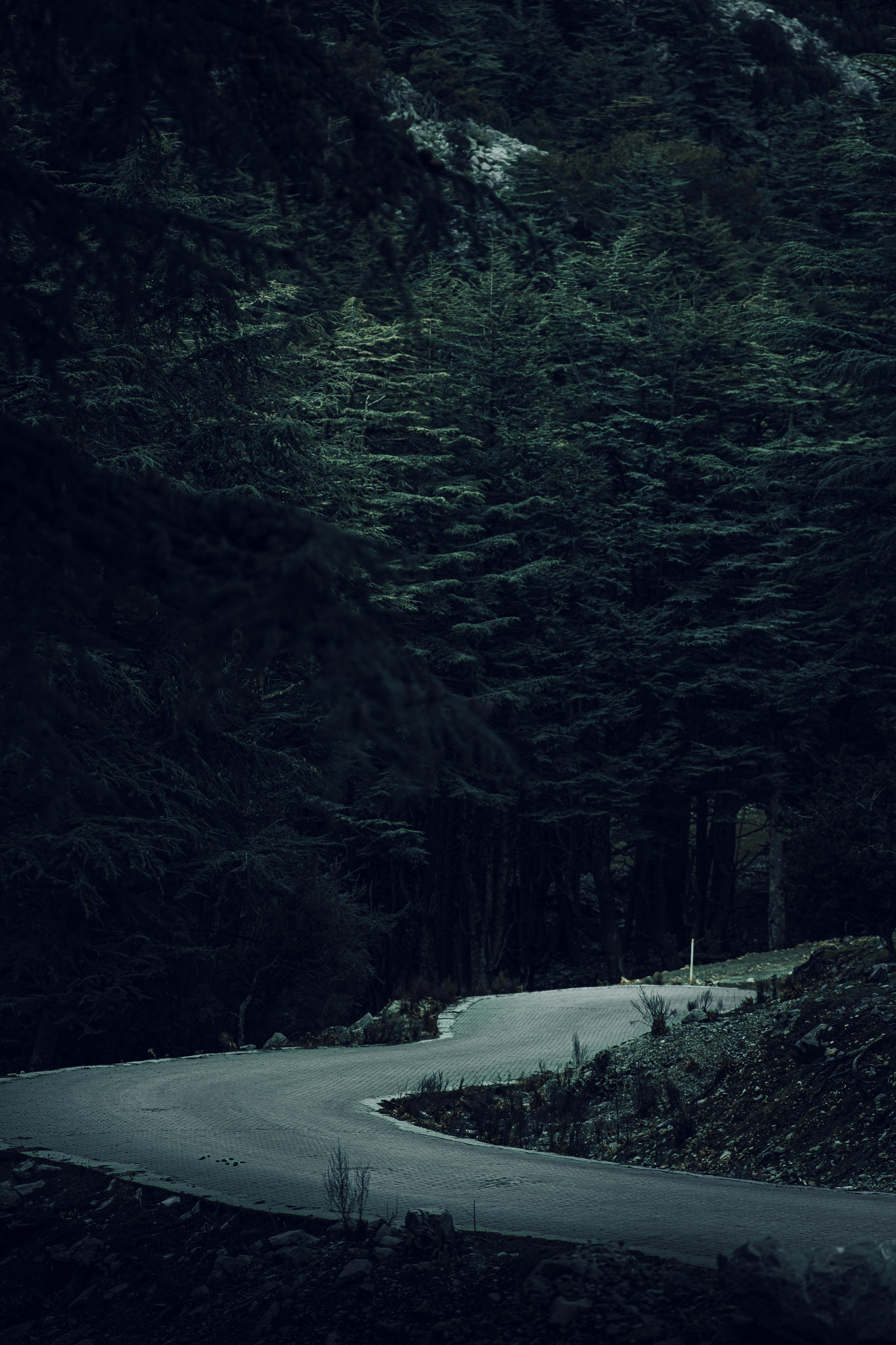 Scenic View of Night Sky · Free Stock Photo