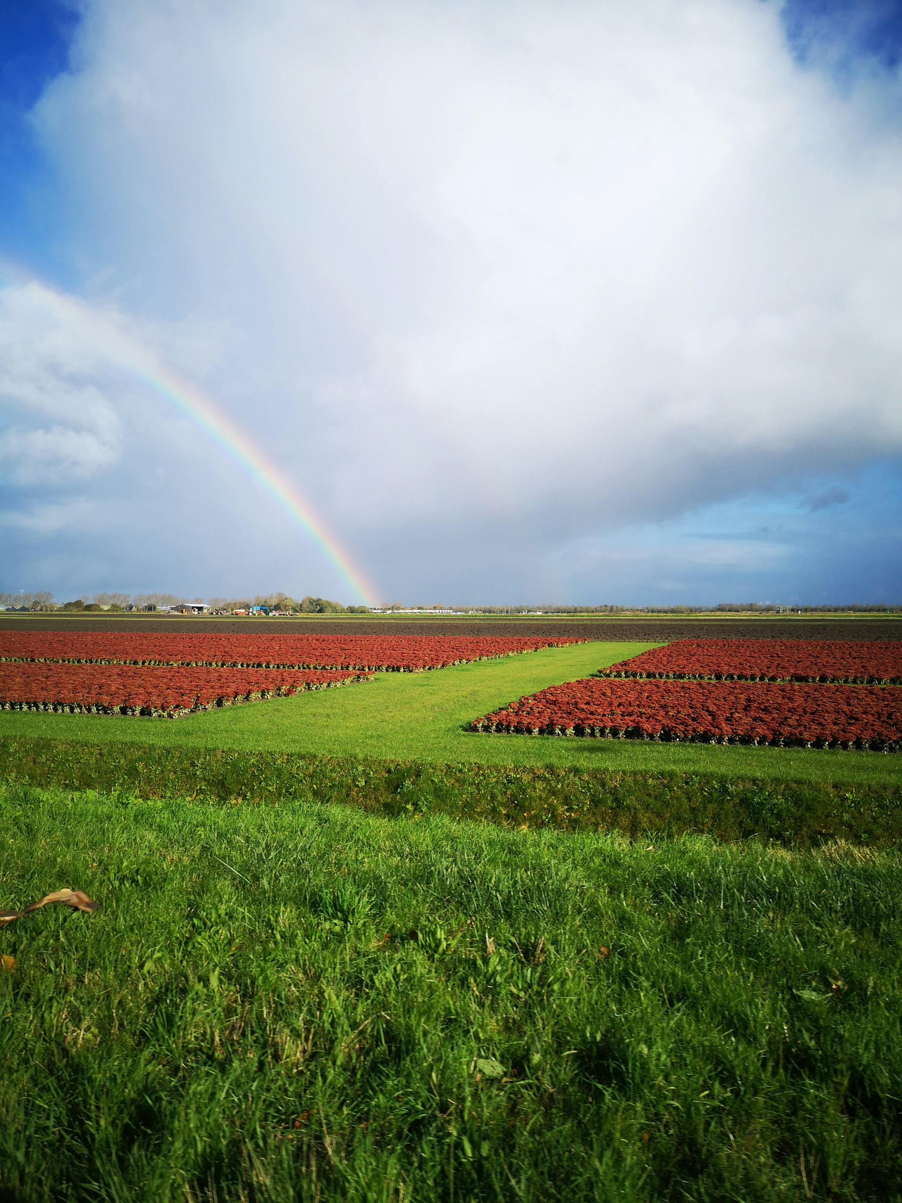 Rainbow and Cloud over Field · Free Stock Photo