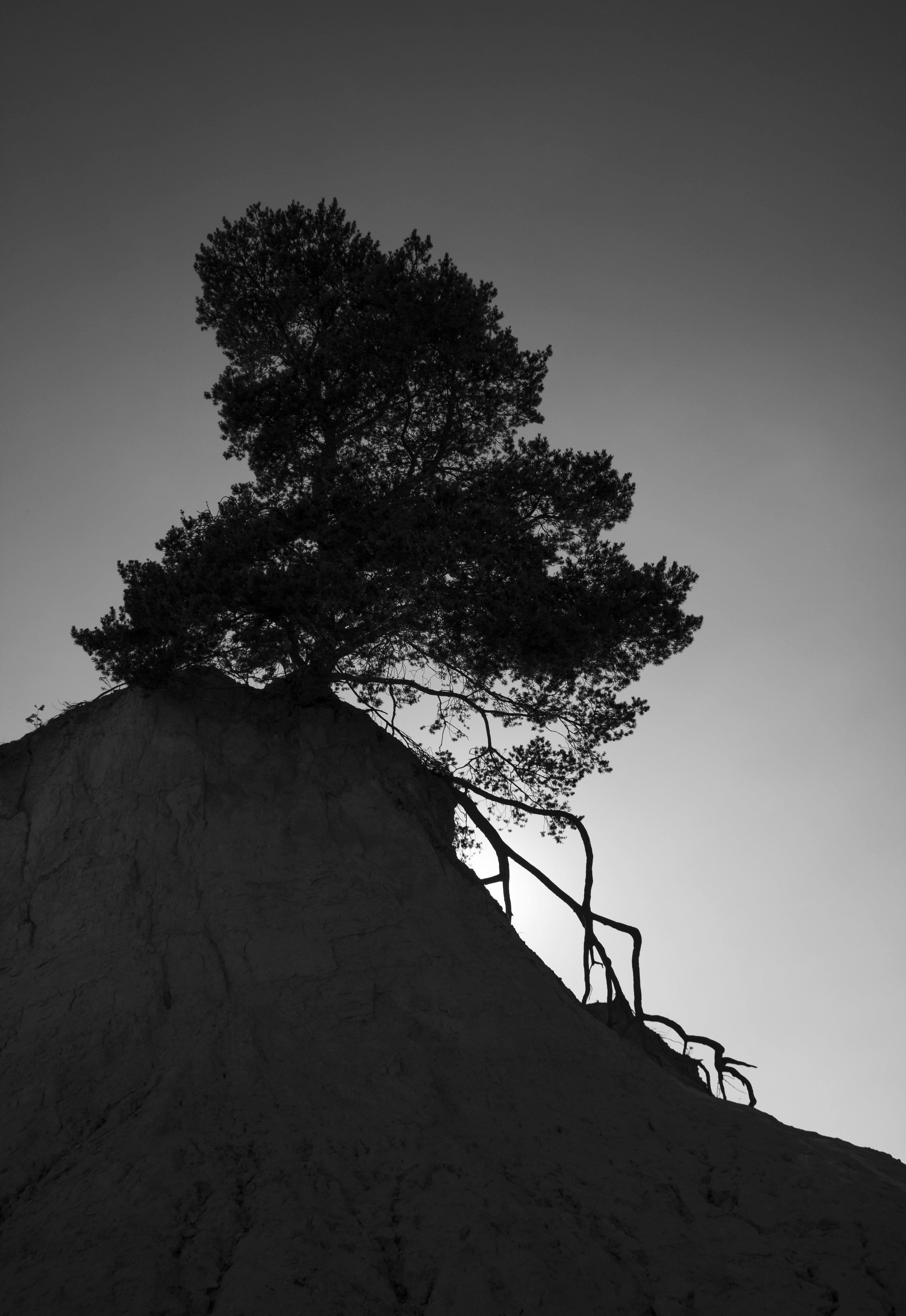 Strong Shapes Photos, Download The BEST Free Strong Shapes Stock Photos ...