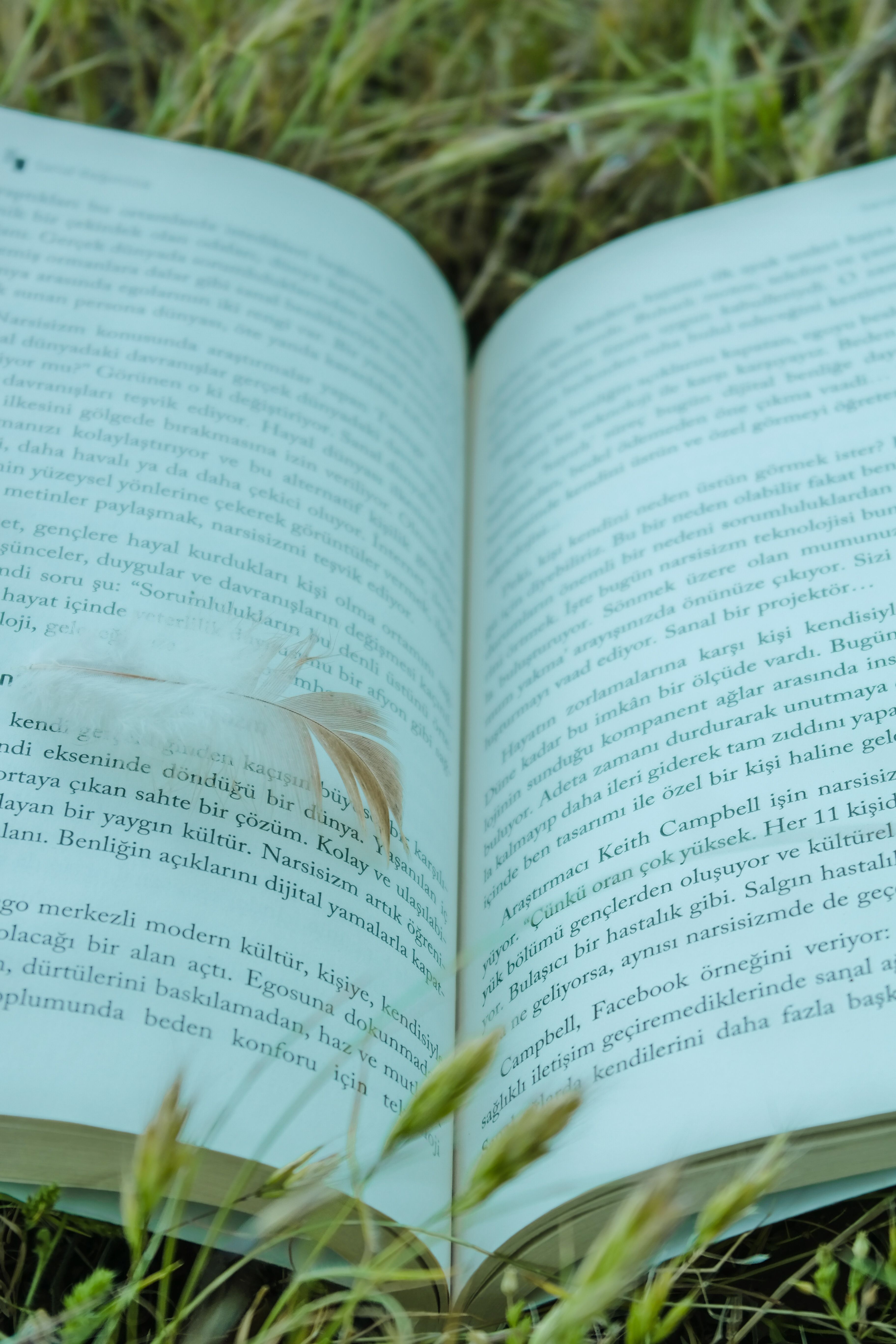 Close-Up Shot of Text on a Book · Free Stock Photo