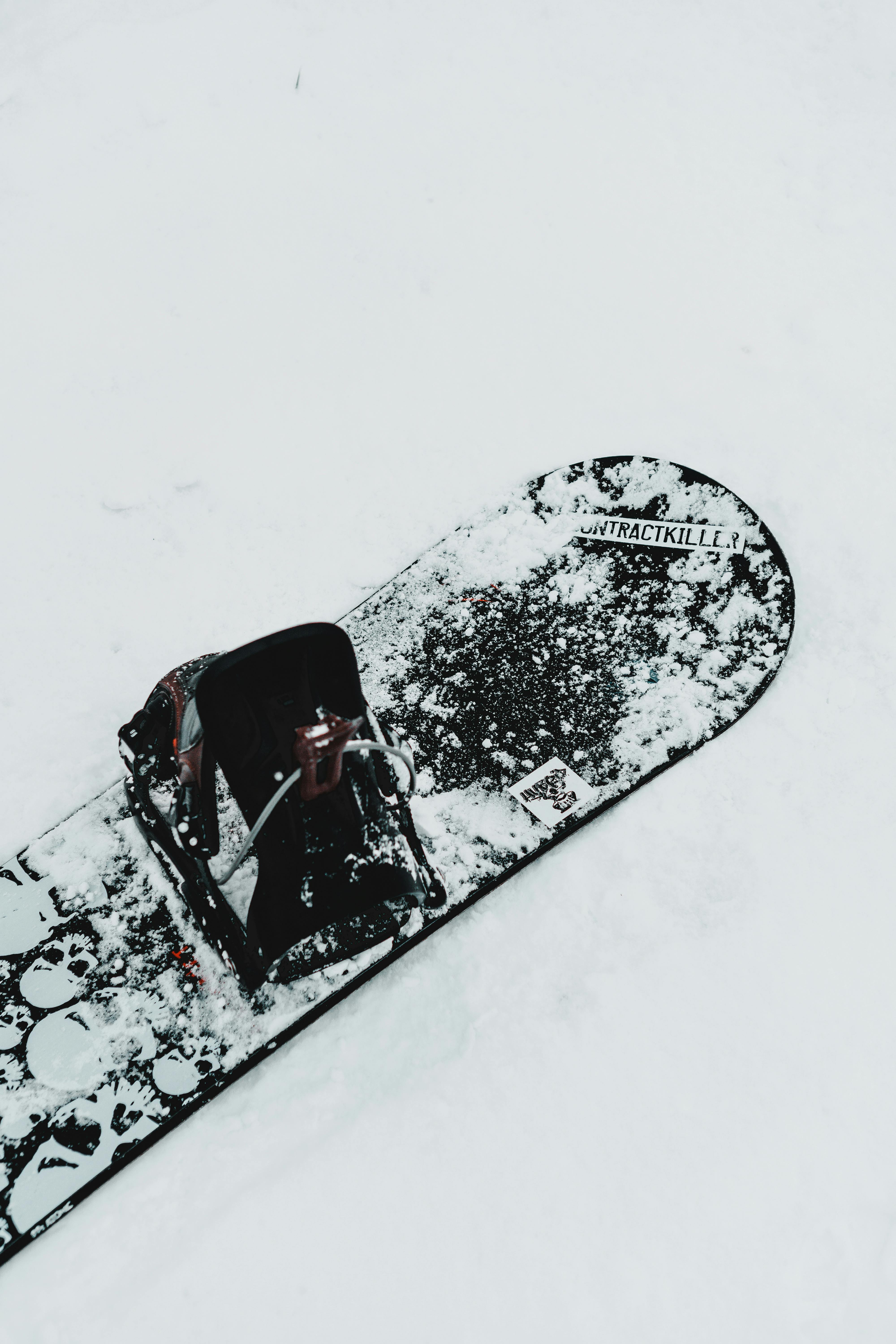 Person Snowboarding among Trees · Free Stock Photo