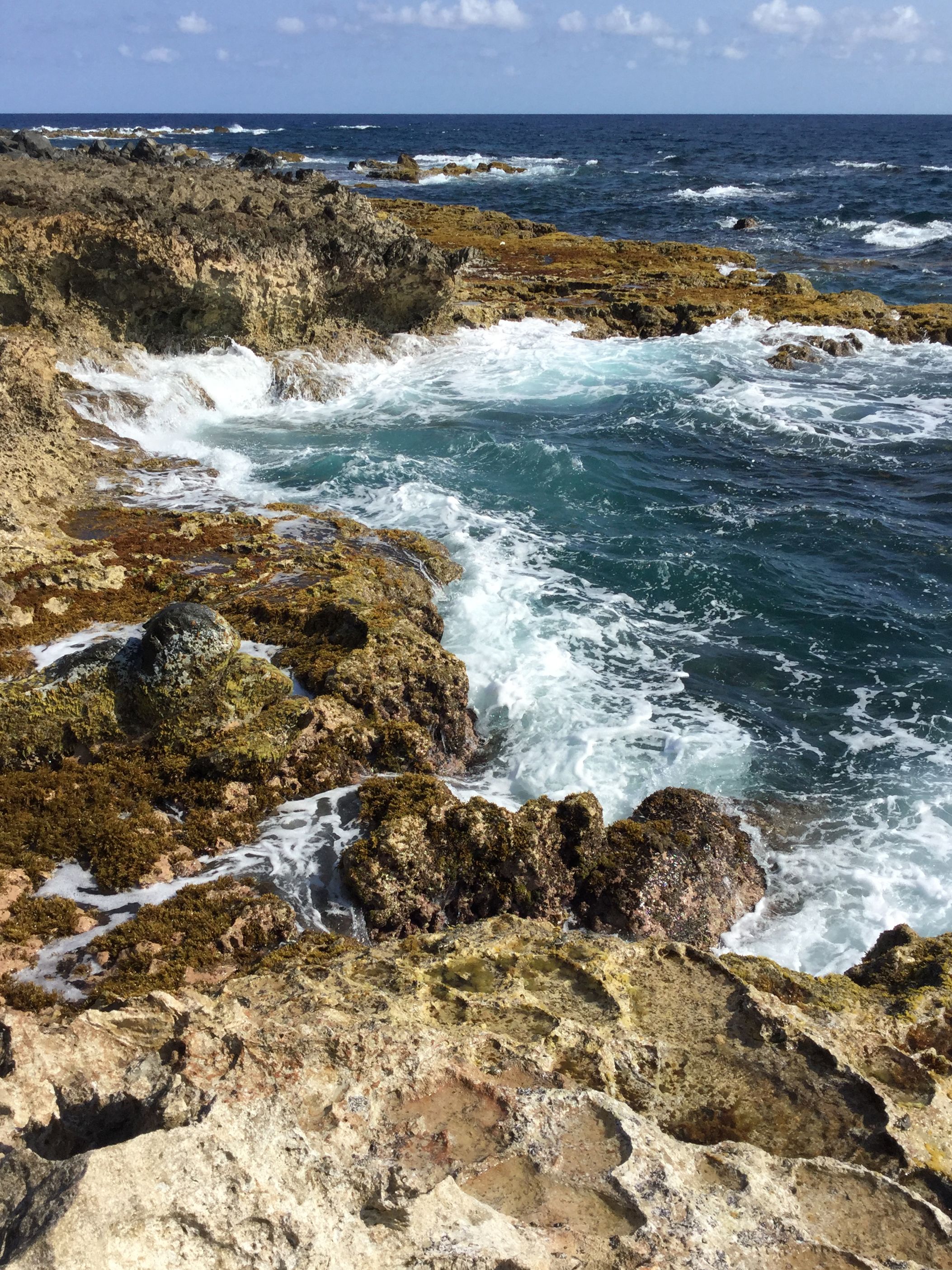 11+ Best Free Aruba Stock Photos & Images · 100% Royalty-Free HD Downloads