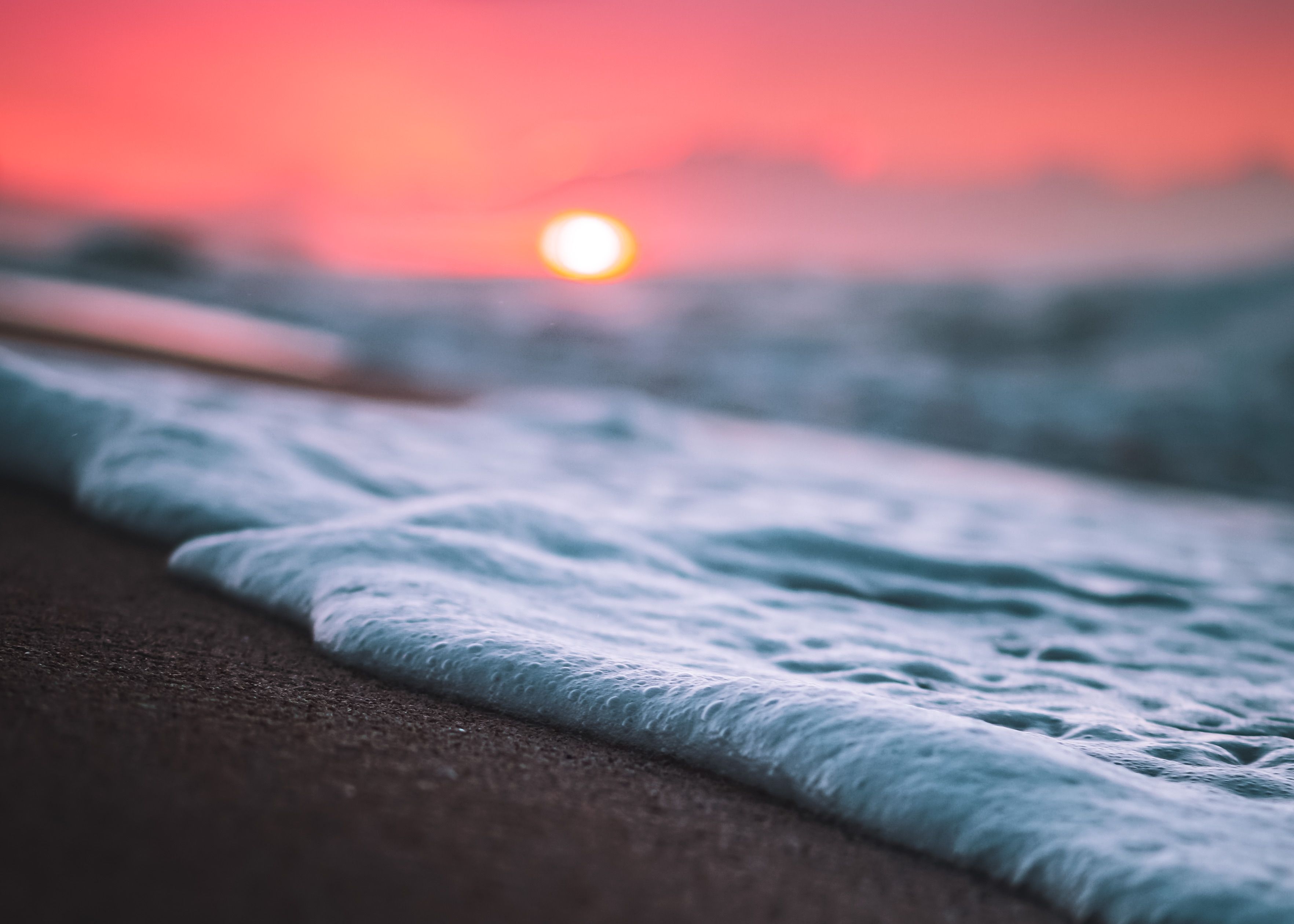 Green Trees Beside Body Of Water During Sunset · Free Stock Photo