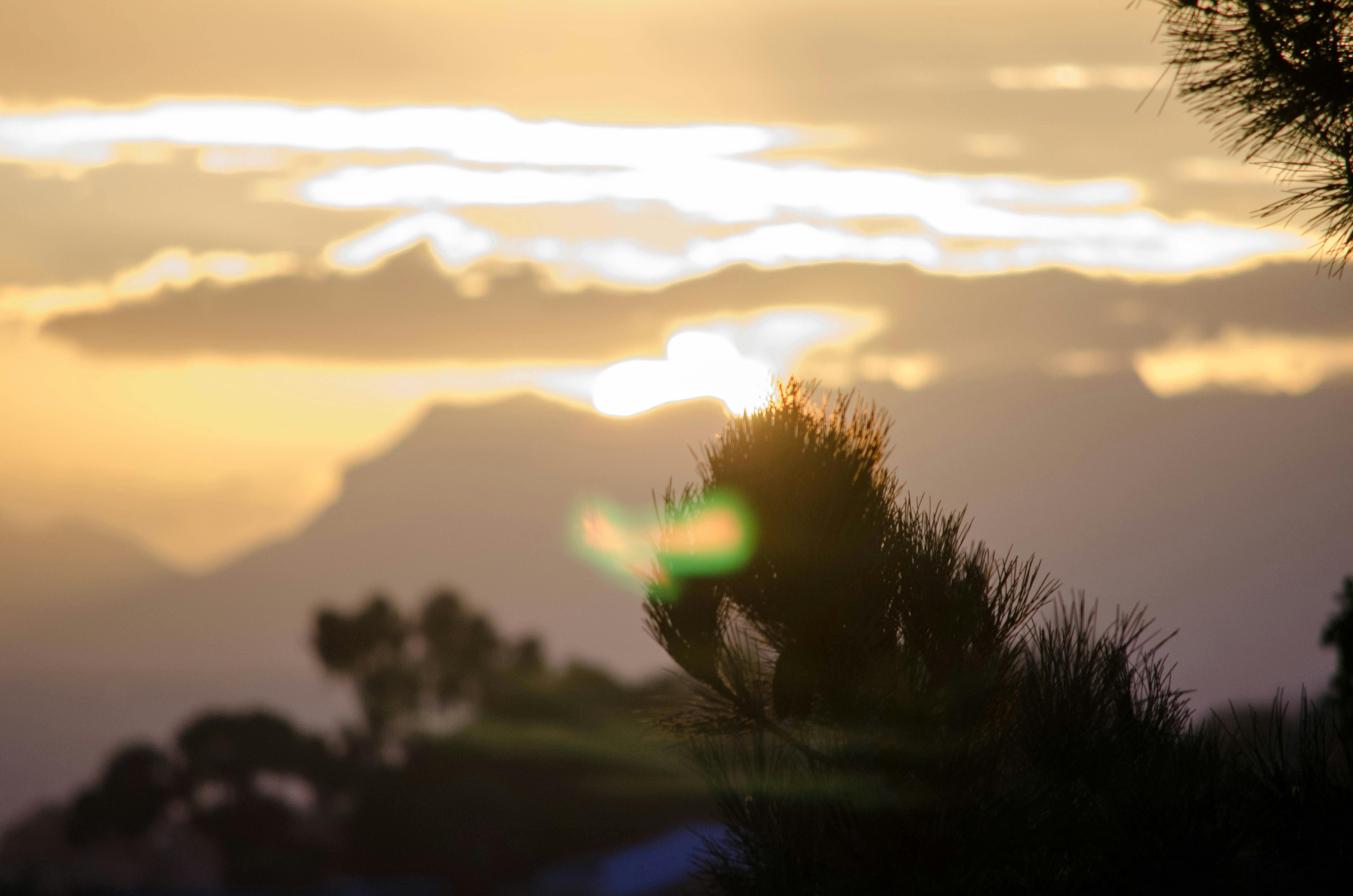 Phillip Hutton · Photography