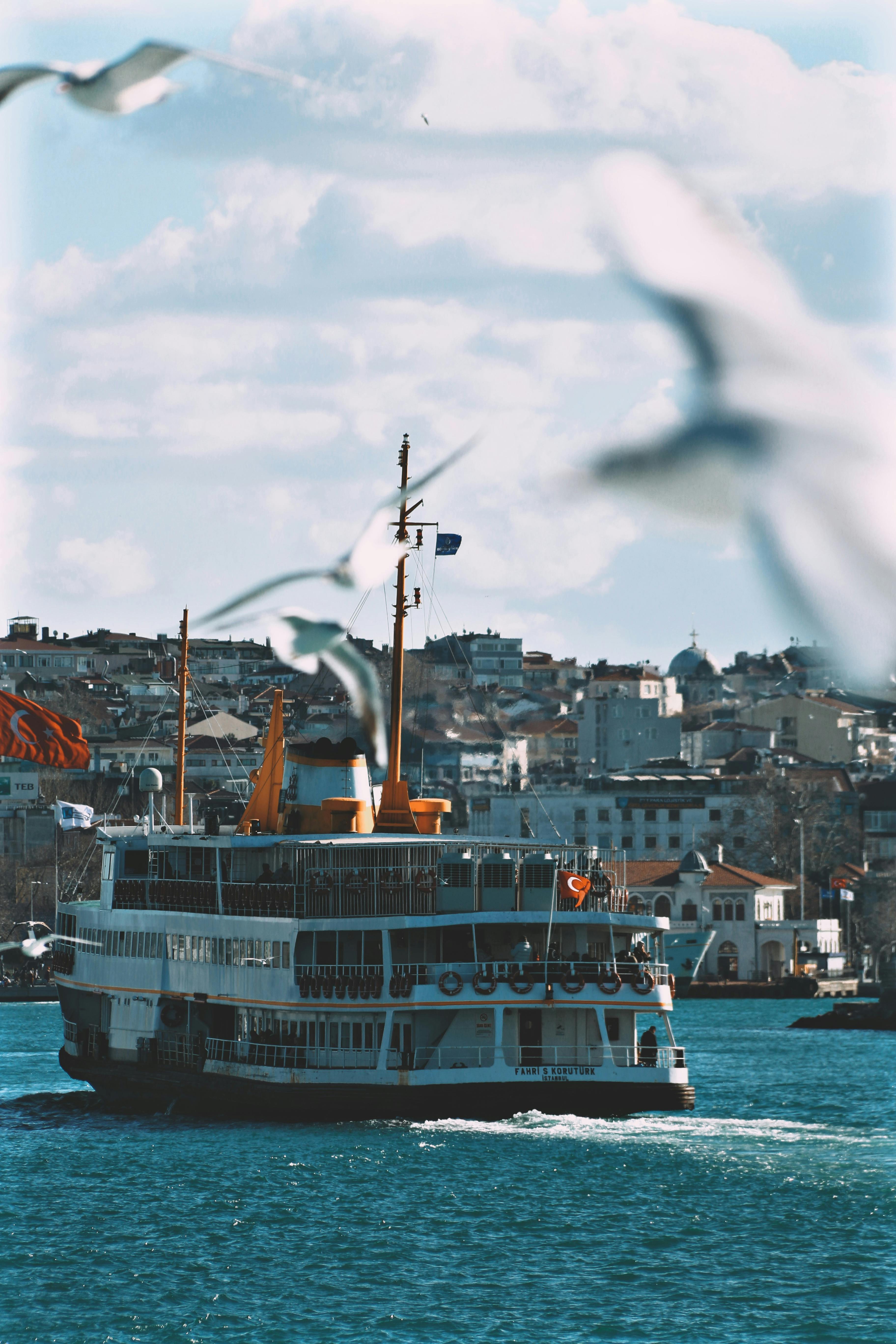 Seagull Flying above Ferry in River · Free Stock Photo