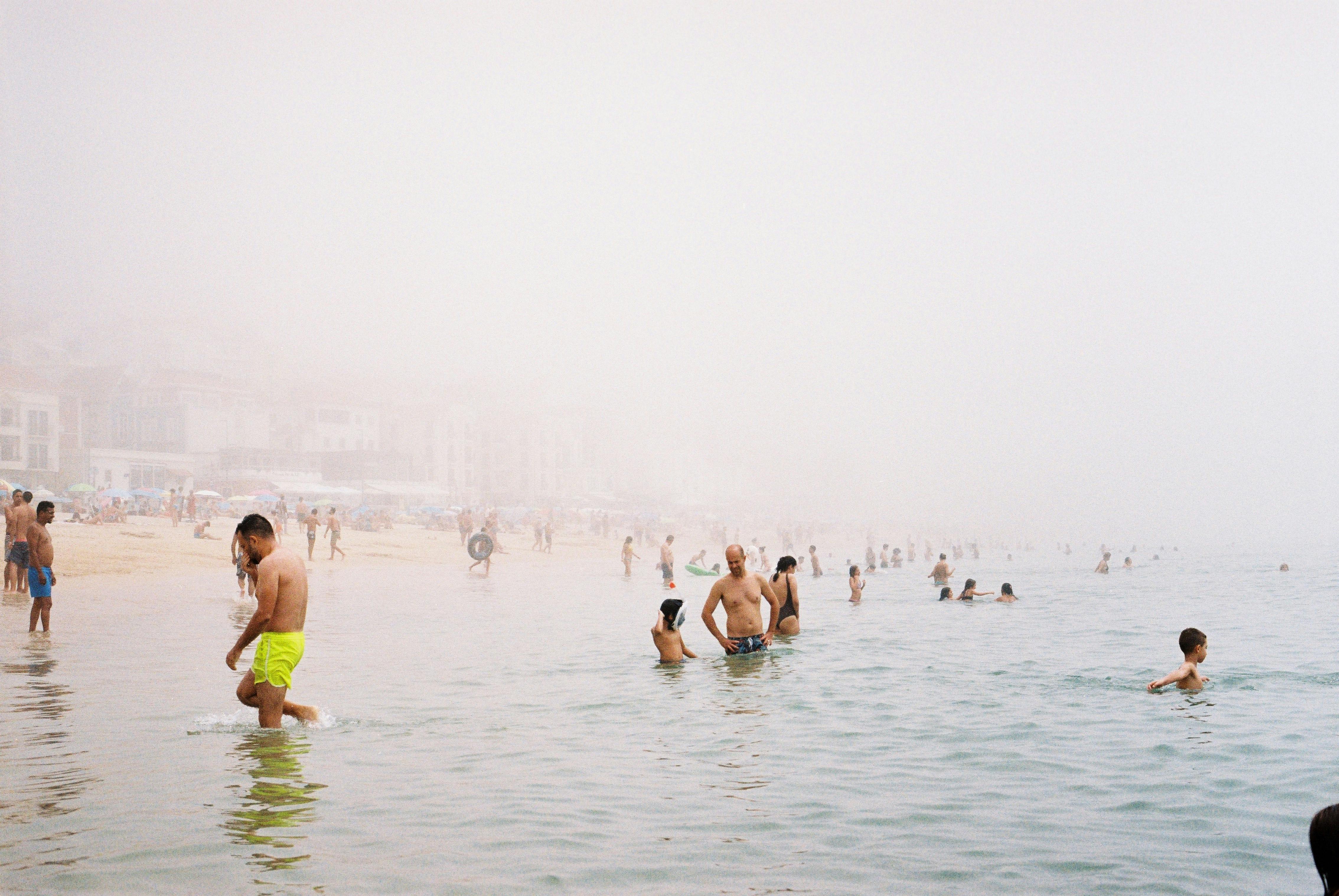 People Swimming on a Beach · Free Stock Photo