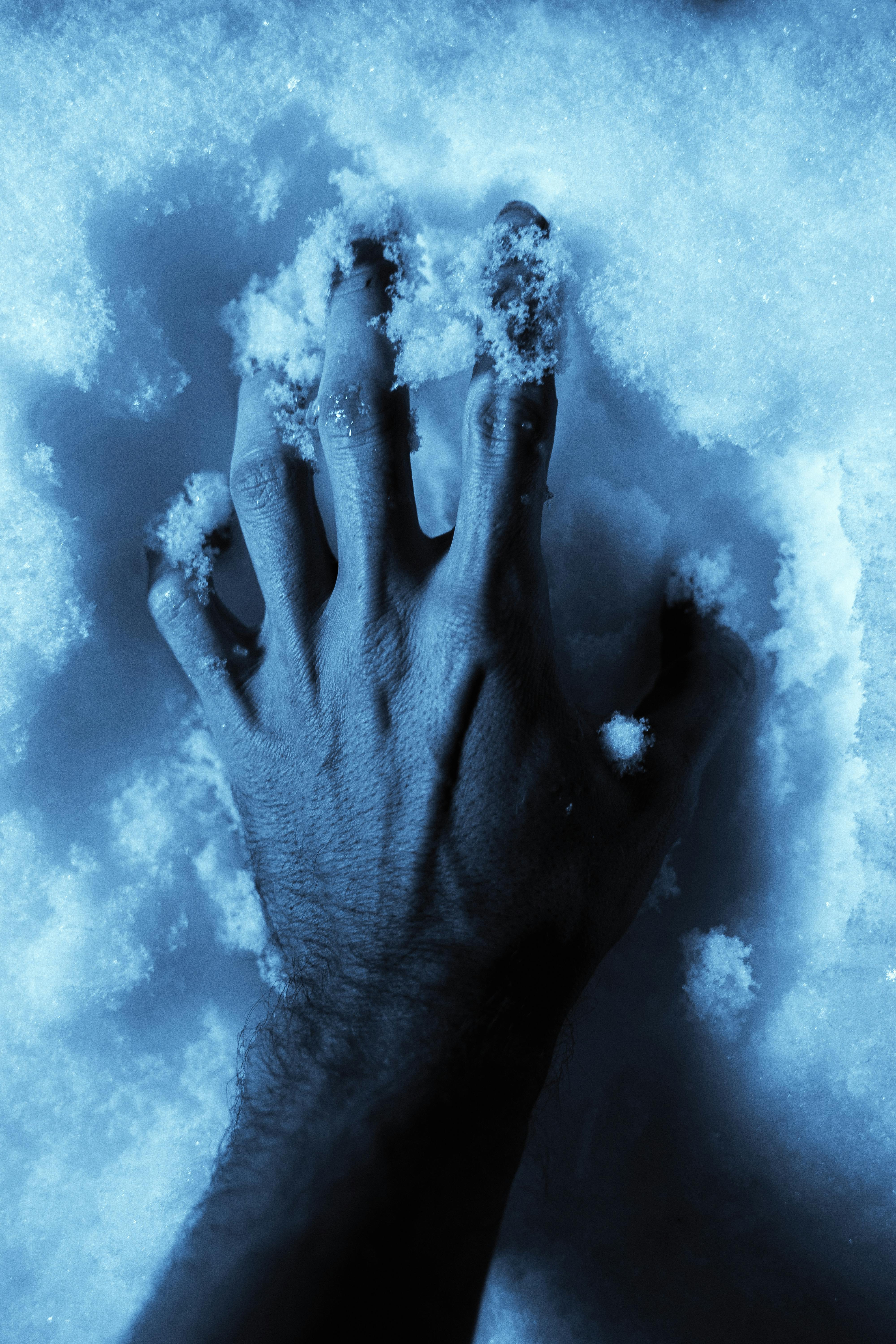 Hand in the Snow · Free Stock Photo