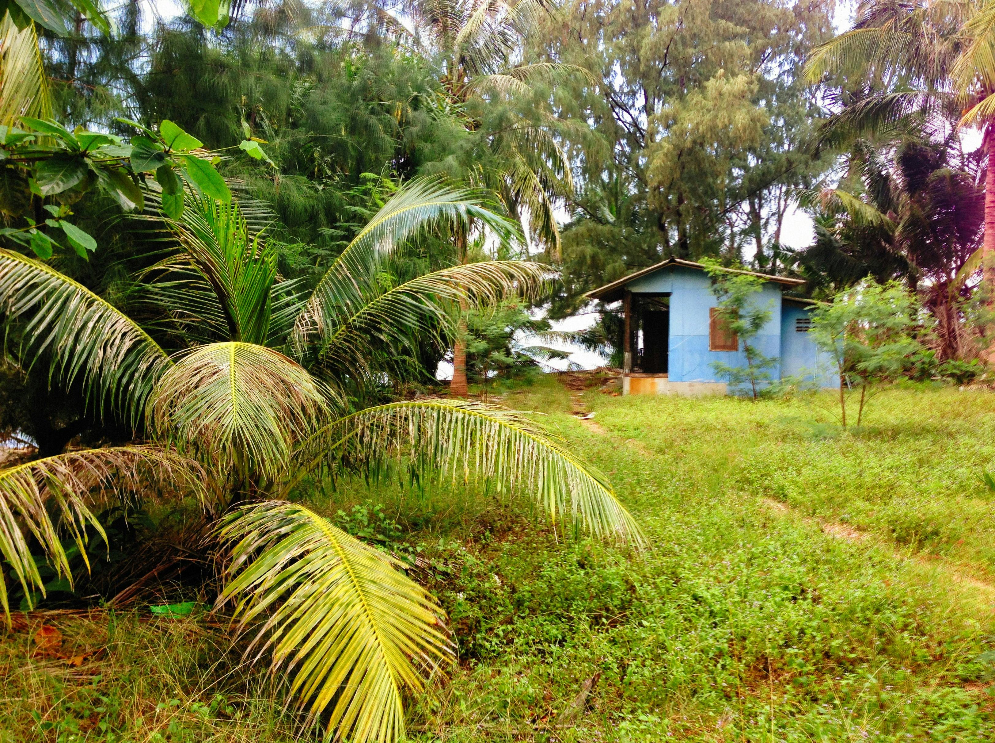 Cabin in Tropical Nature Landscape · Free Stock Photo