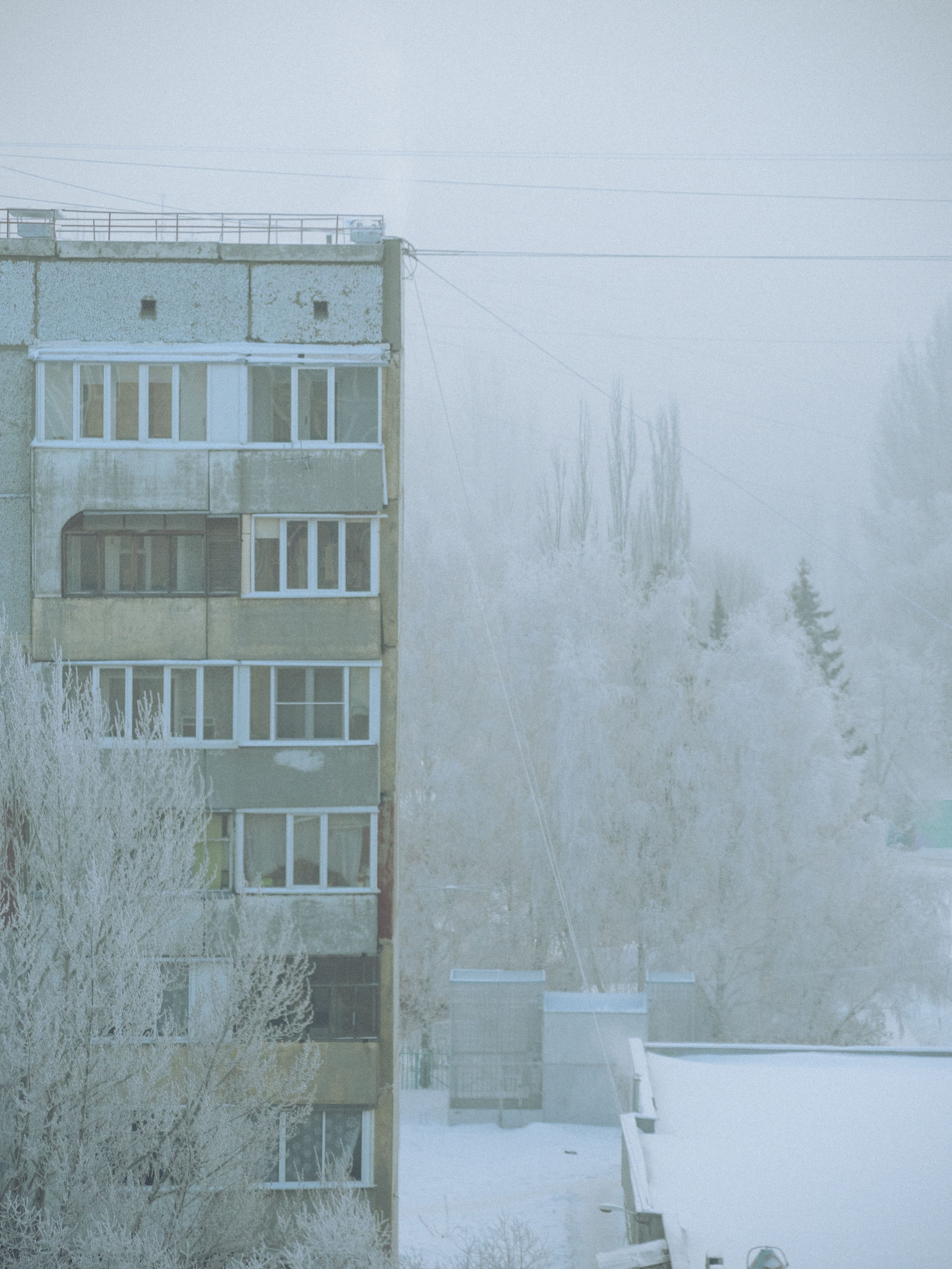 Building Facade on Winter Day · Free Stock Photo