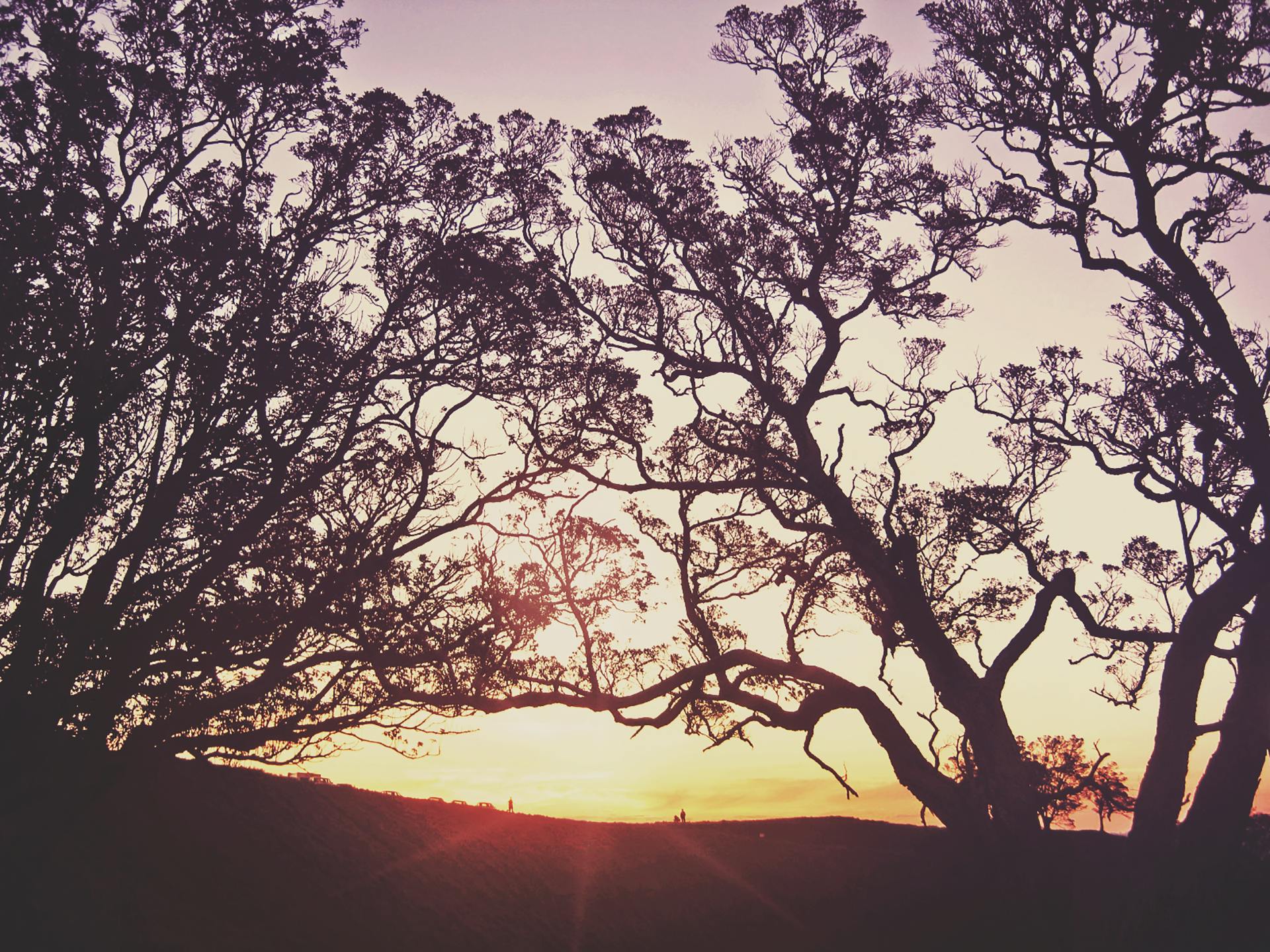 Amy Chandra · Photography