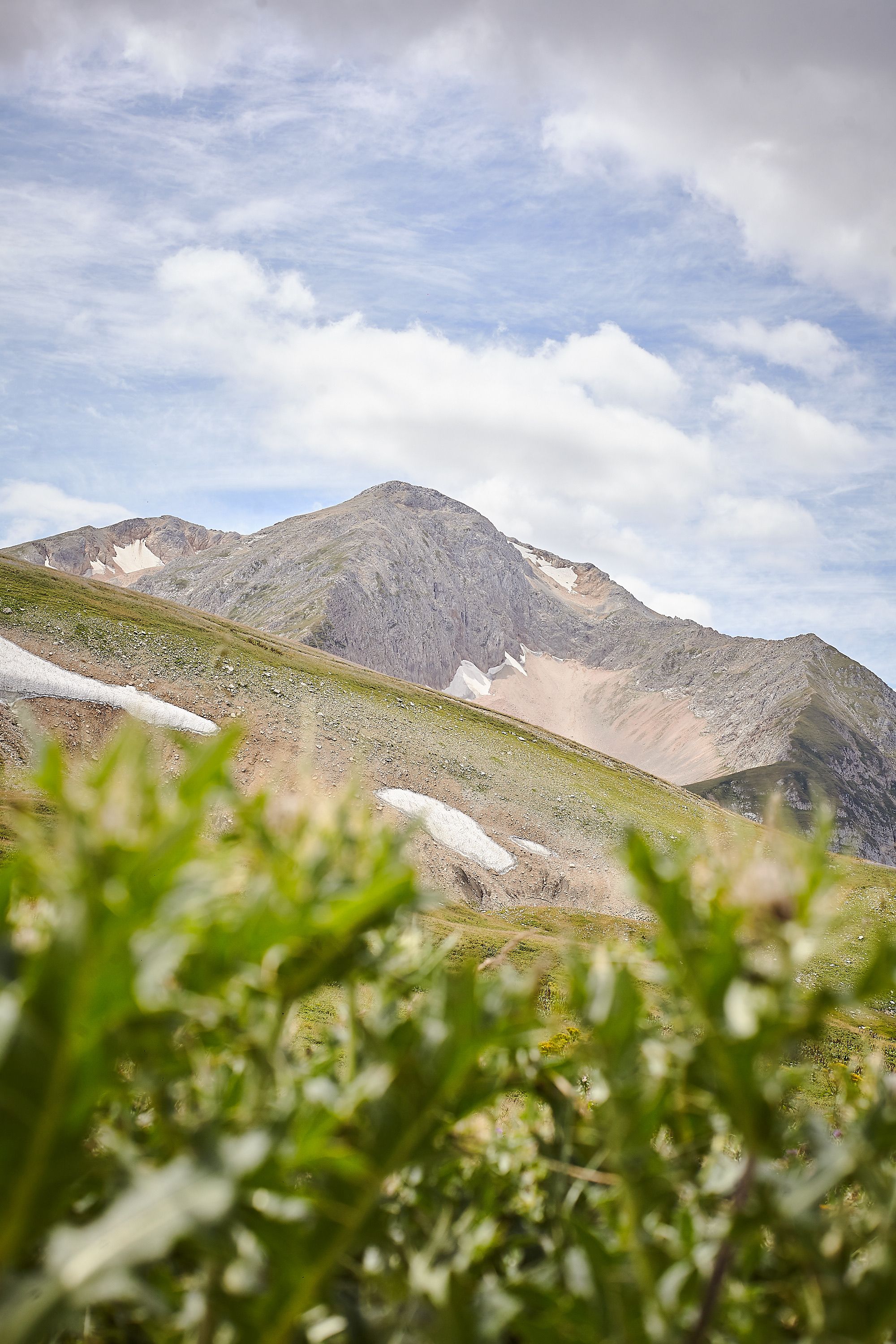 Close-up of Grass and Distant Hills · Free Stock Photo