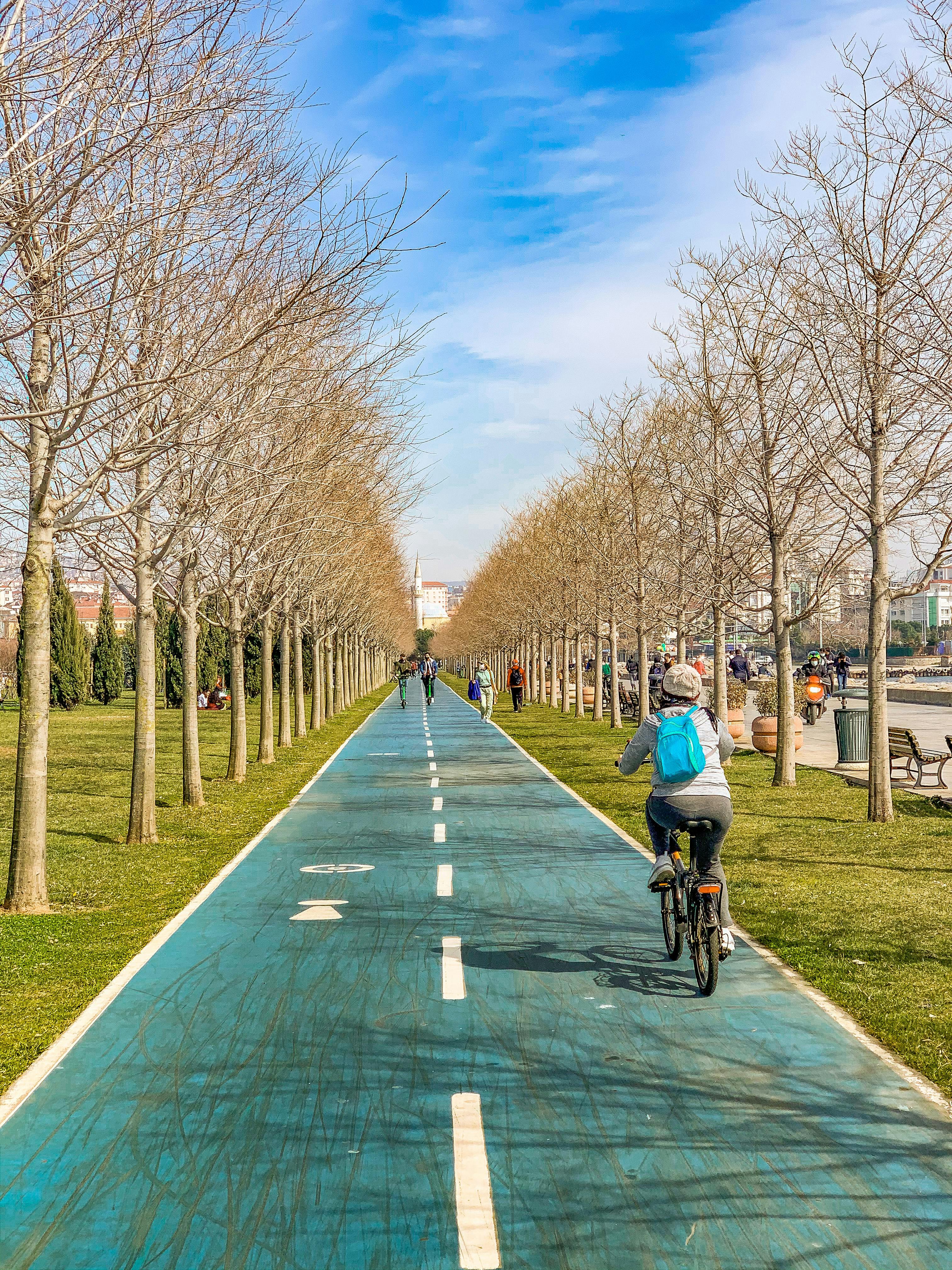 Blue Path Photos, Download The BEST Free Blue Path Stock Photos & HD Images