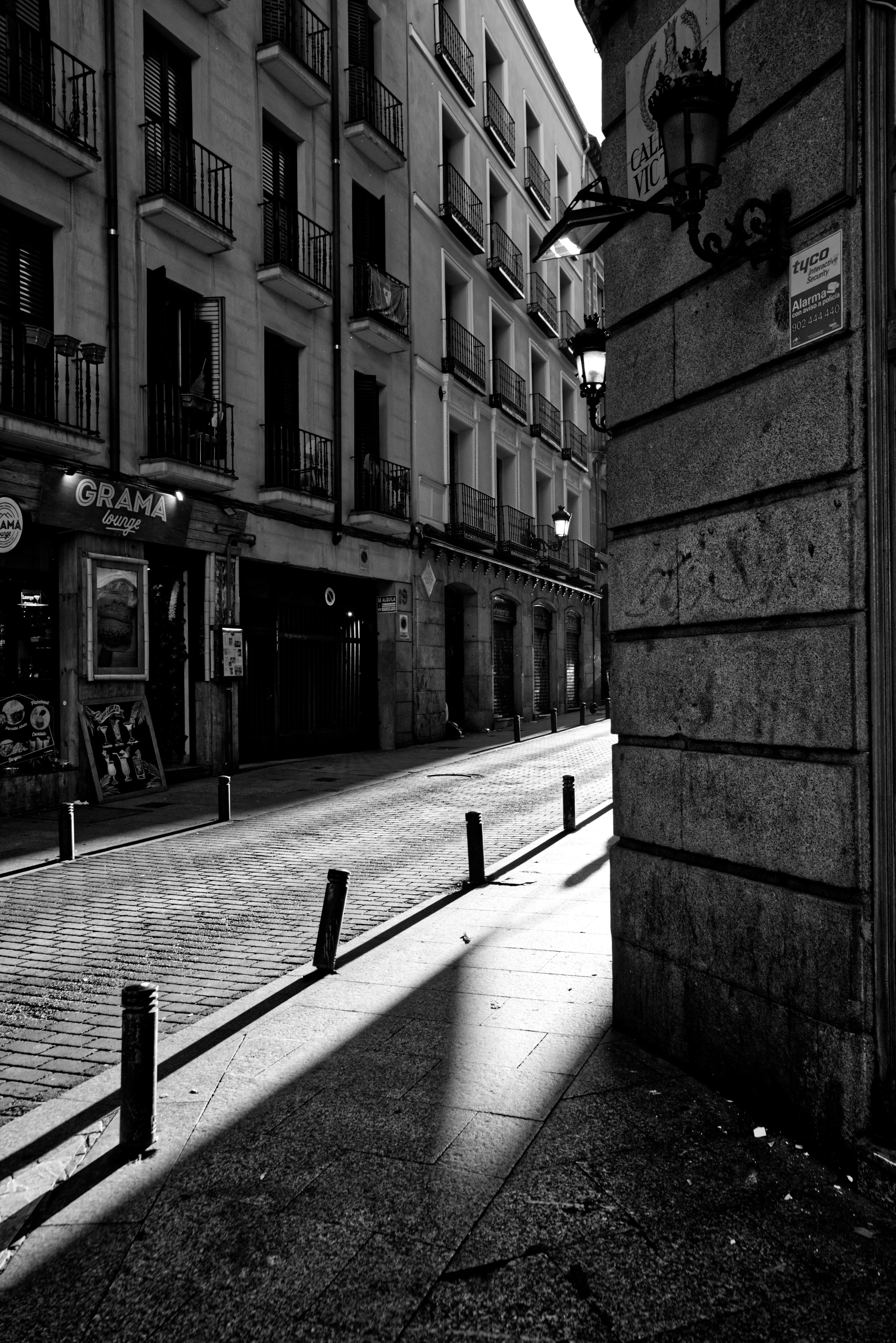 Grayscale Photography of Street Lights Along the Road Between Houses ...