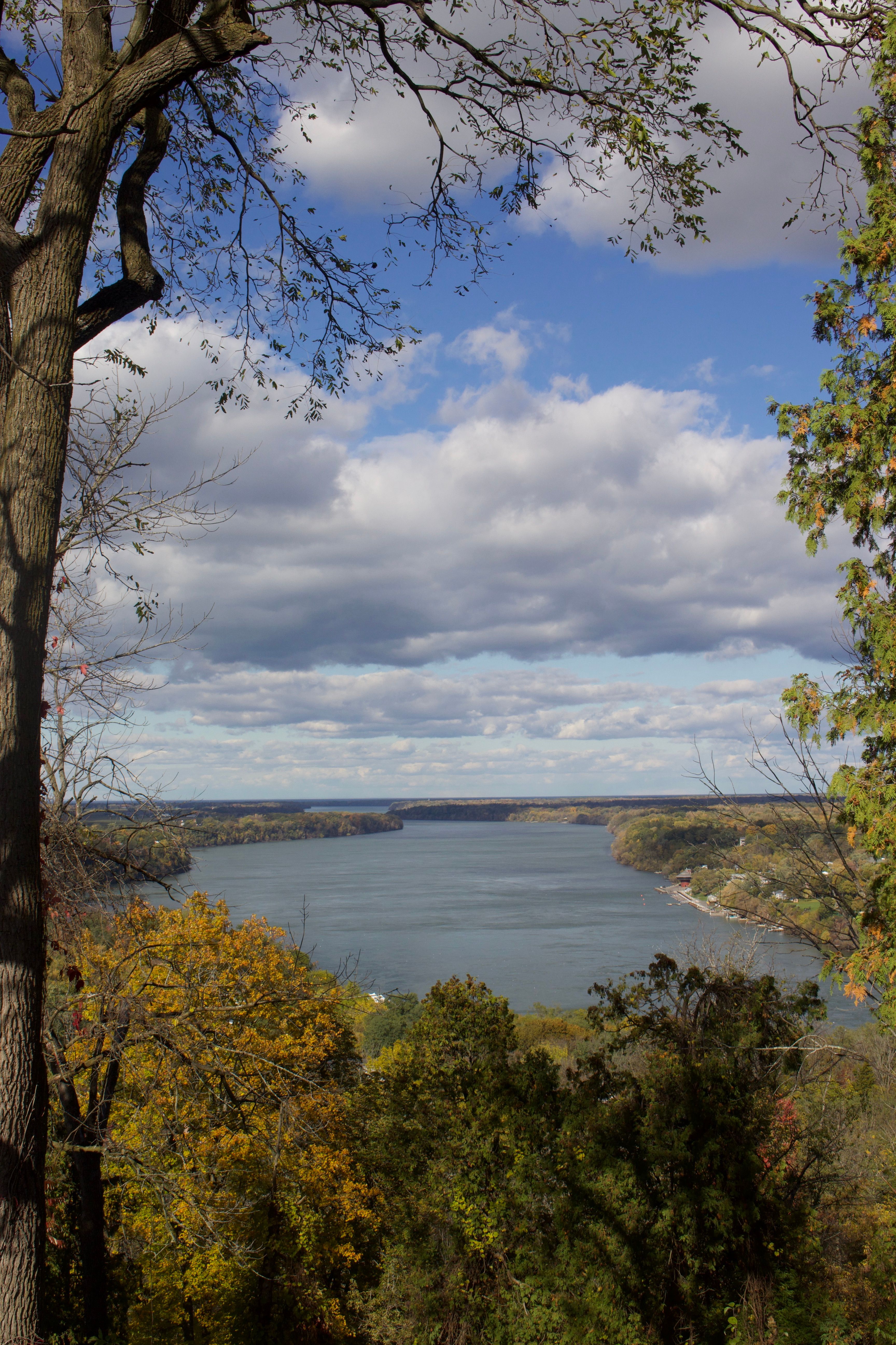18 fotos y vídeos de The Bruce Trail guardados por Mattea Valvano