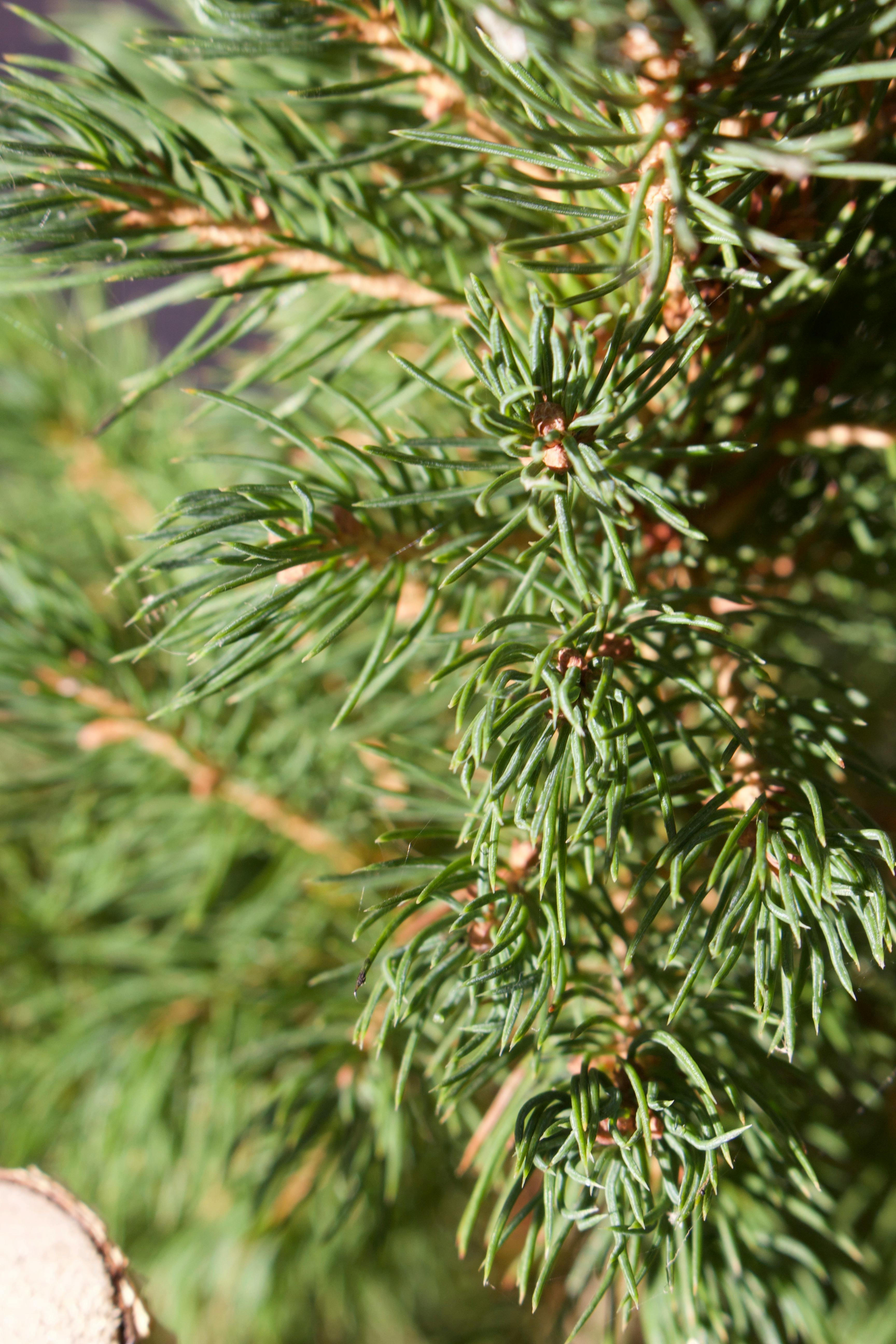 The Bruce Trail 18 Photos & Videos Collected by Mattea Valvano