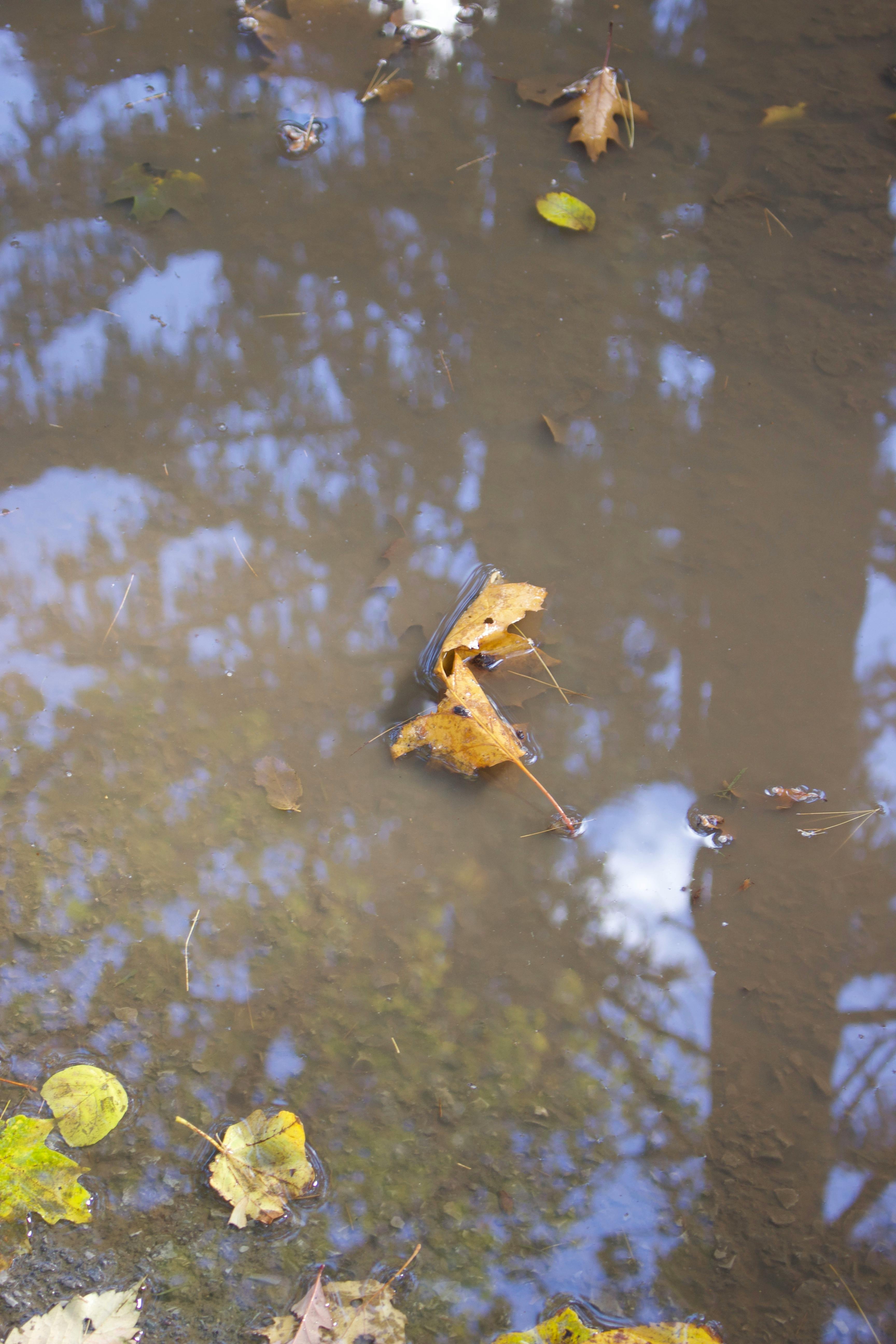 18 fotos y vídeos de The Bruce Trail guardados por Mattea Valvano