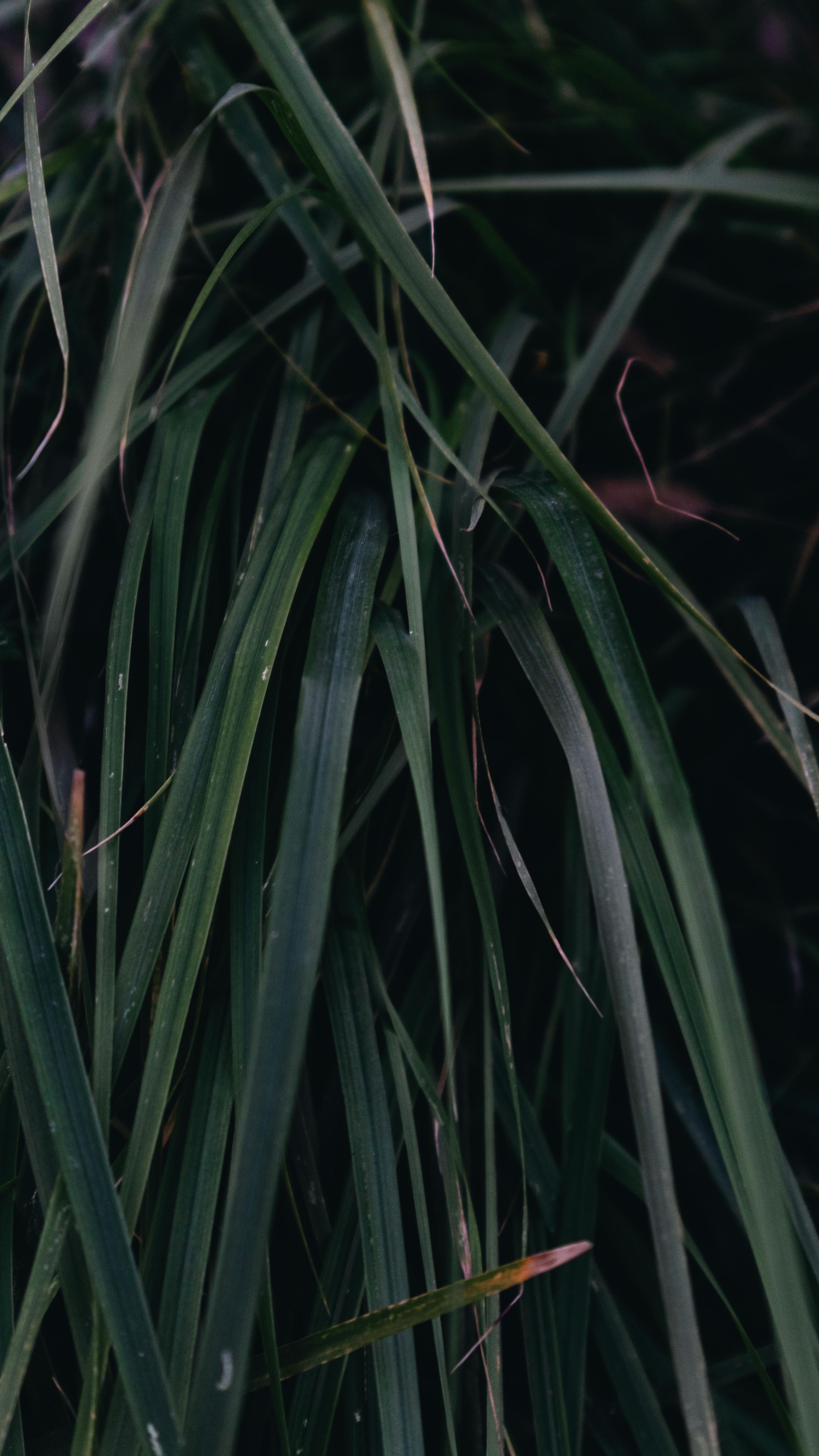 Posterity Photos, Download The BEST Free Posterity Stock Photos & HD Images