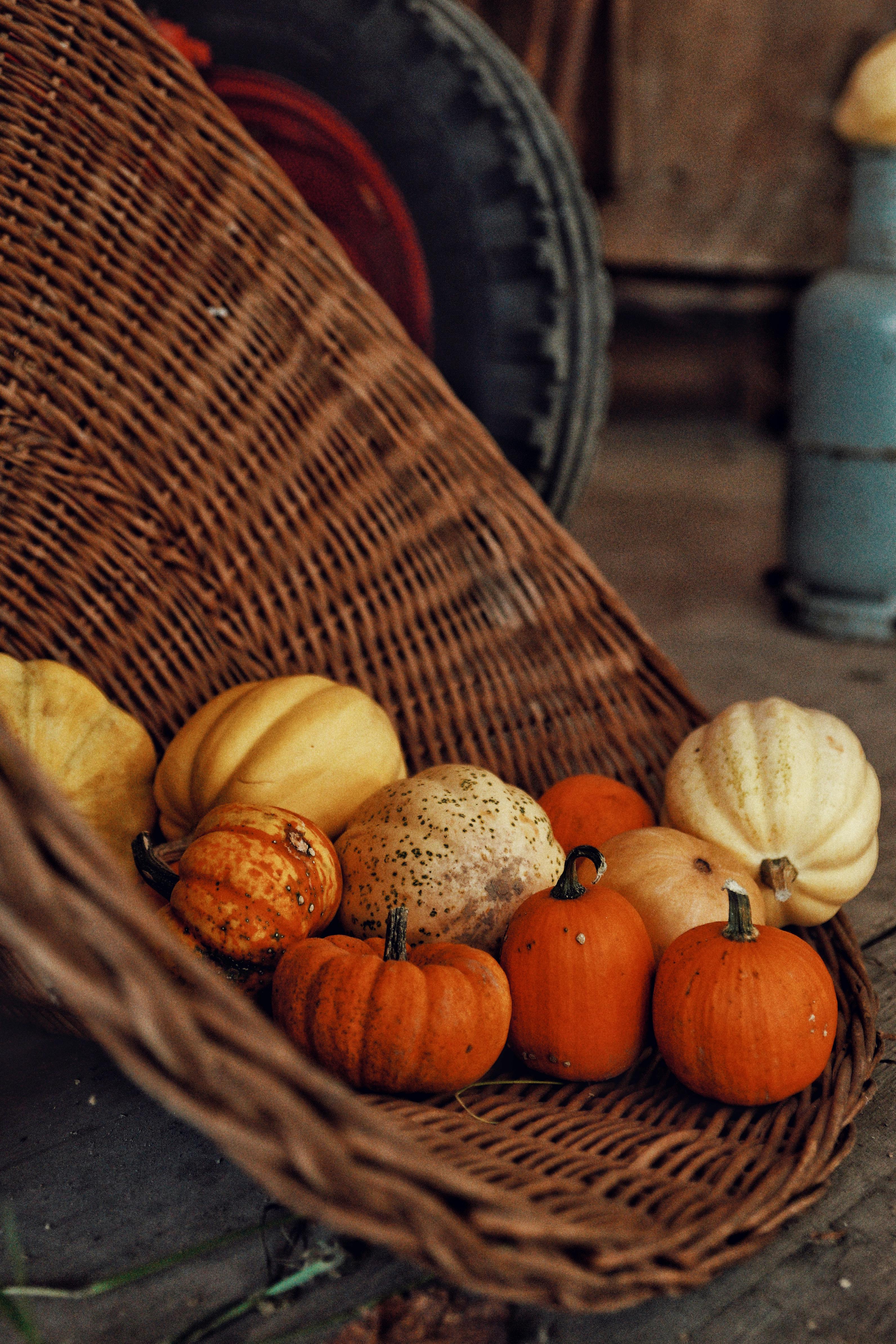 Gourd Vegetables in a Basket · Free Stock Photo
