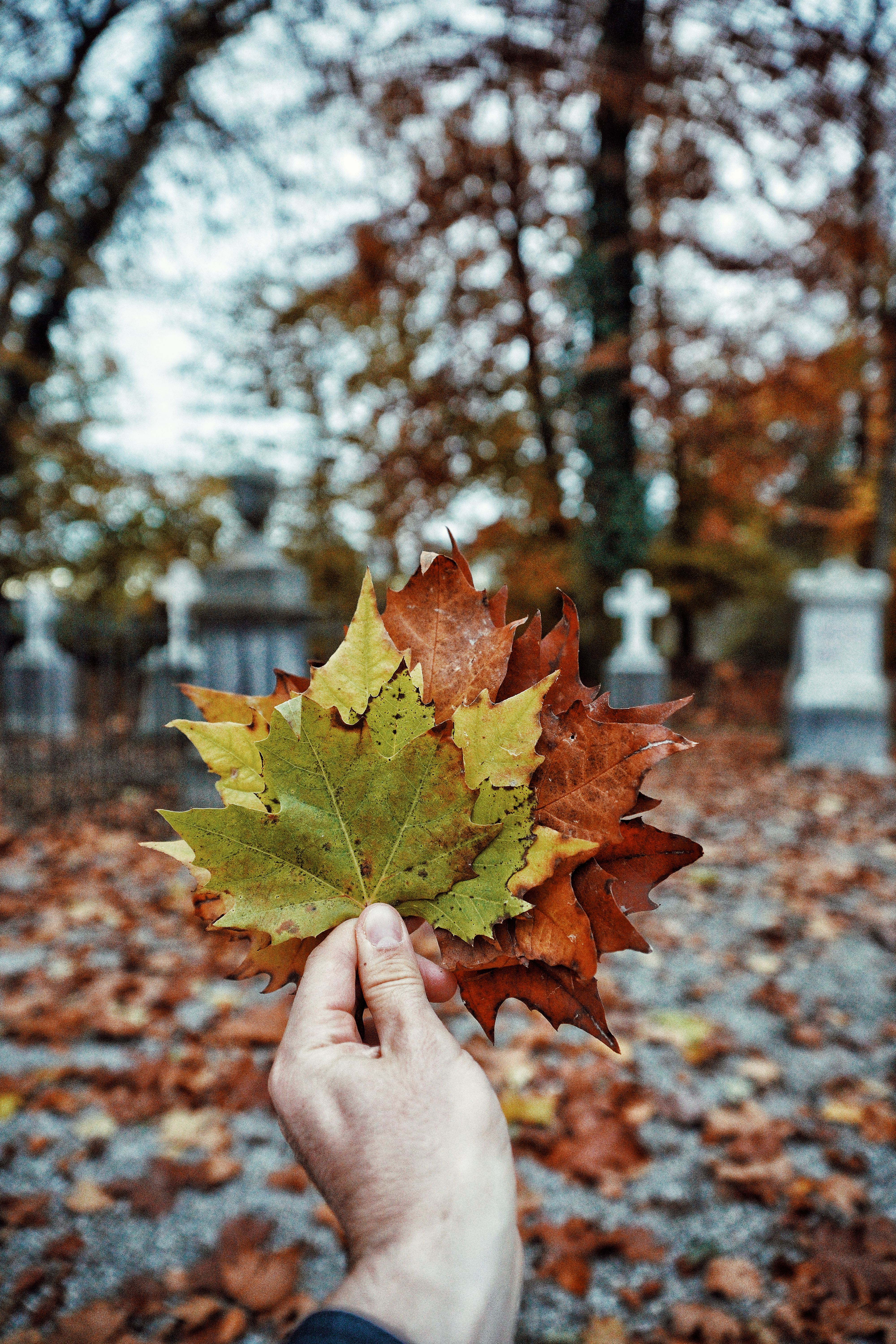 Hand Crosses Photos, Download The BEST Free Hand Crosses Stock Photos ...
