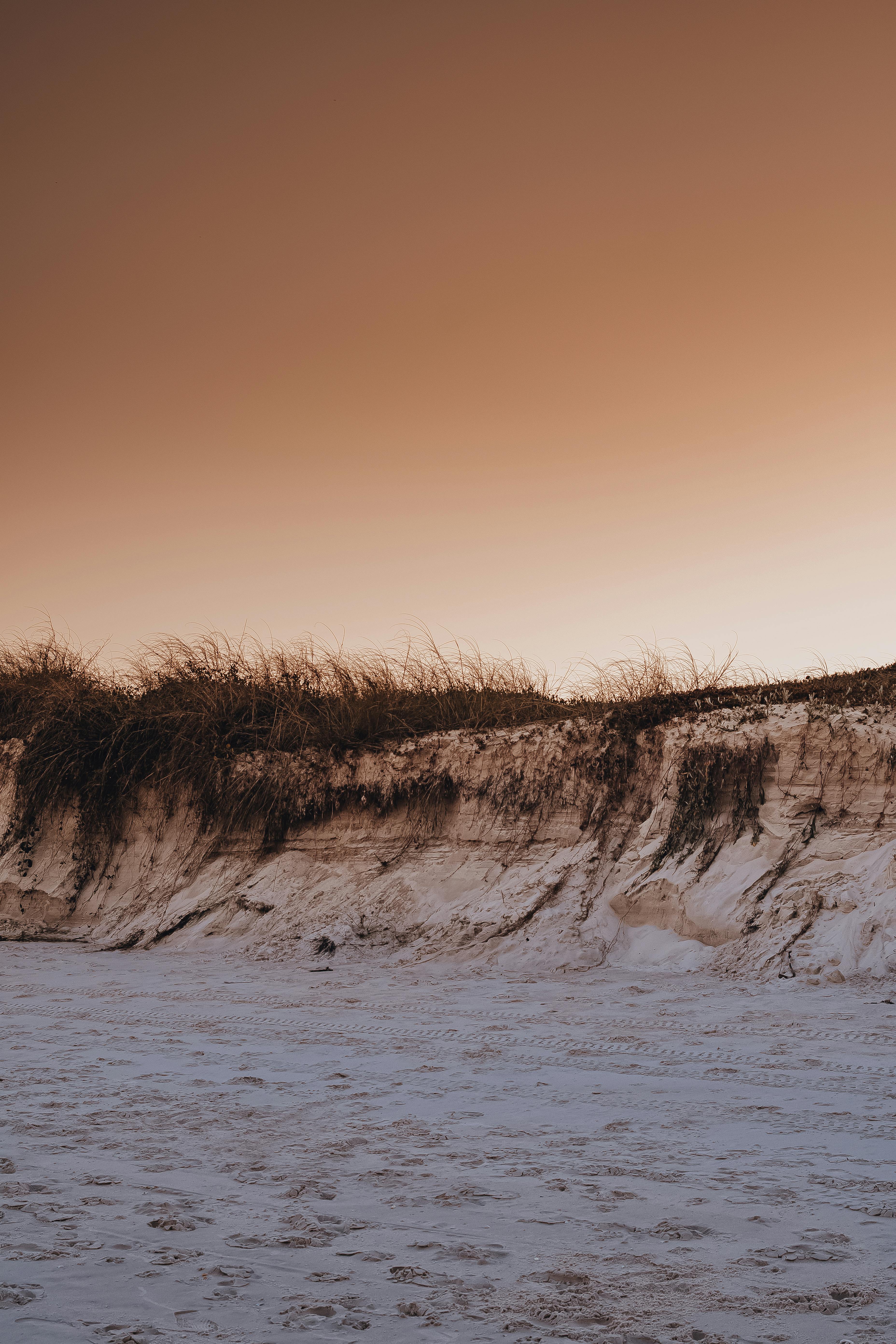 Sand and Soil of a Beach · Free Stock Photo