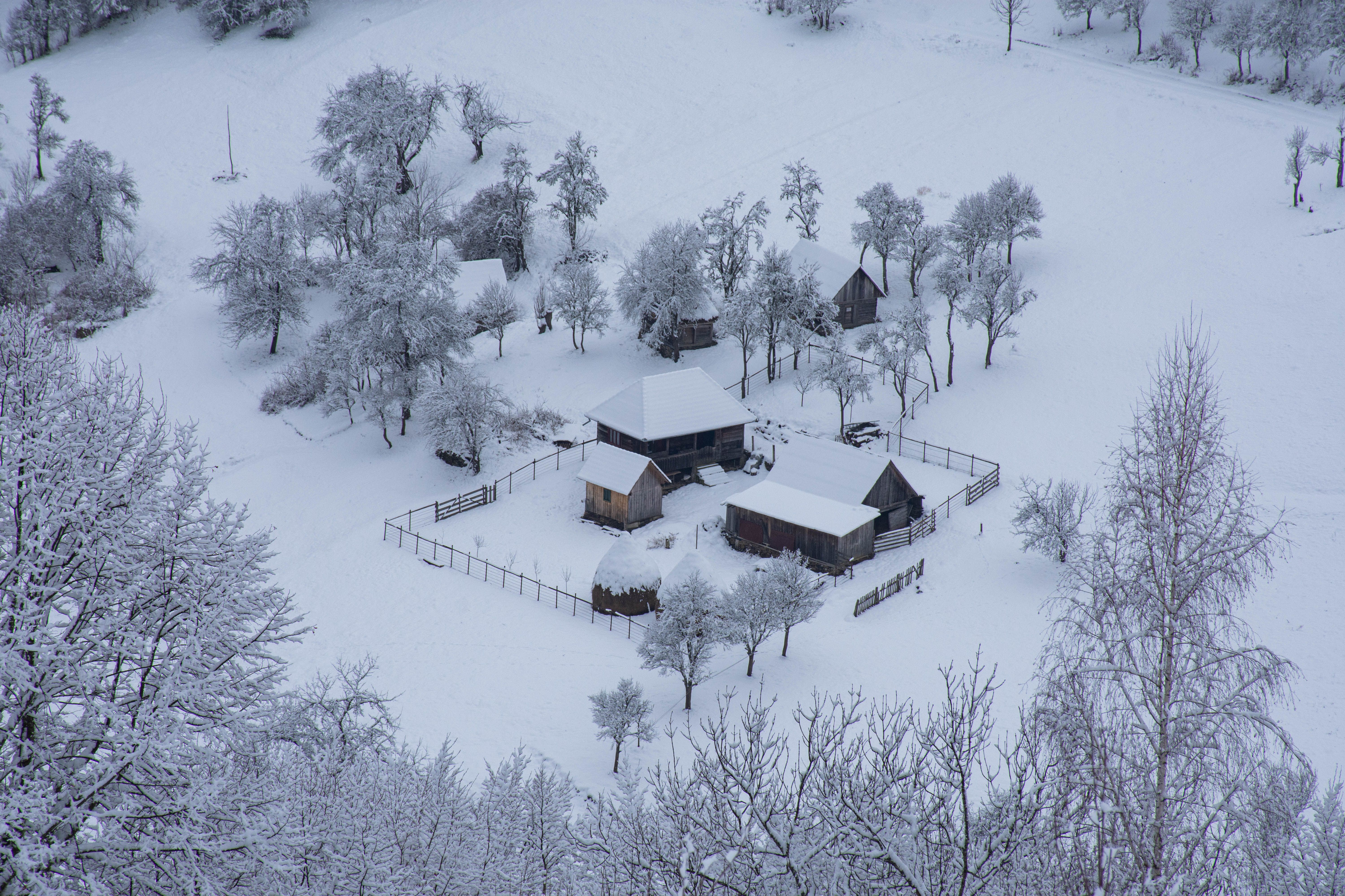 Aerial View of Snow Covered Houses · Free Stock Photo