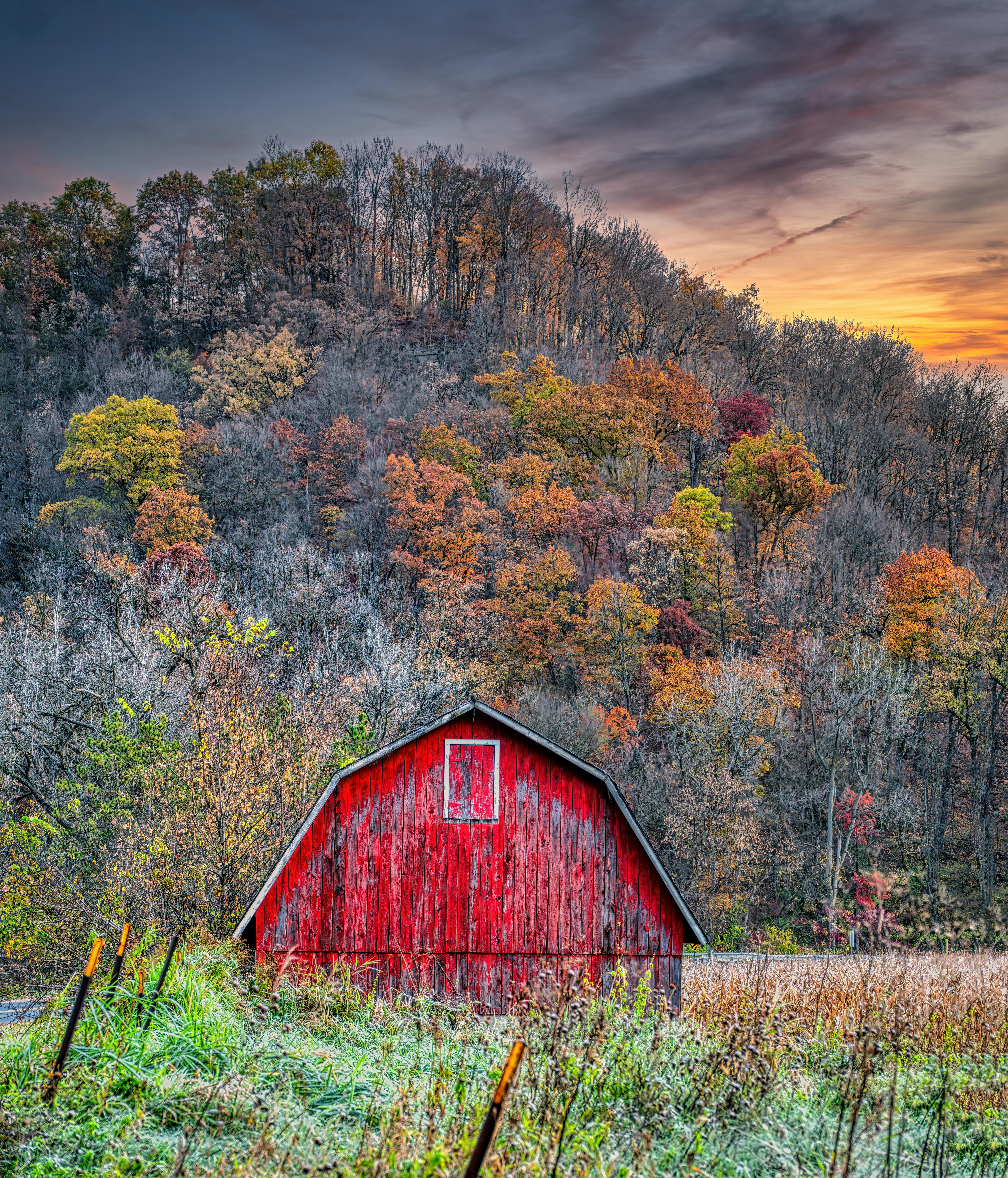 A Wooden Barn Near Growing Trees · Free Stock Photo