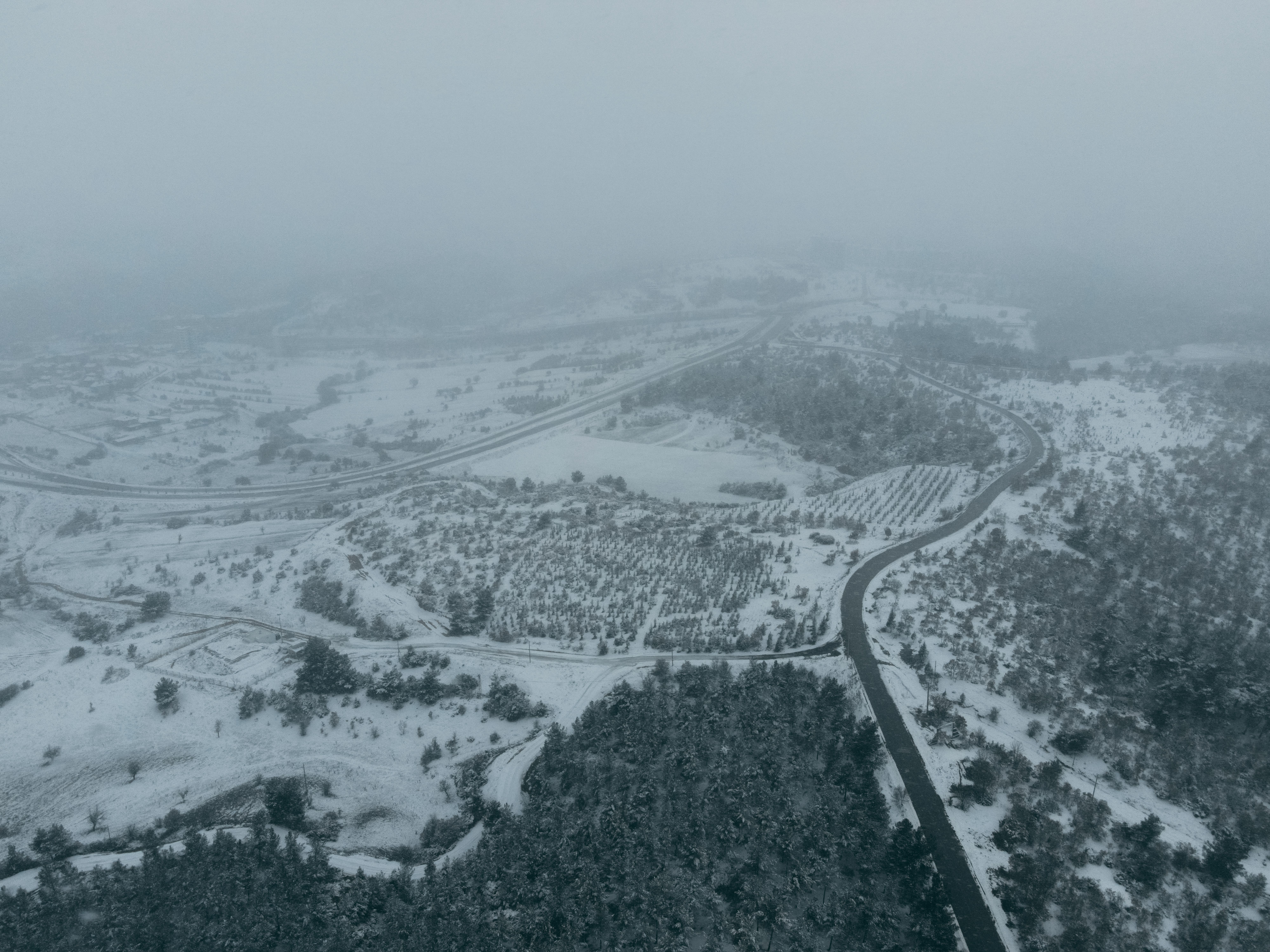 Cool Winter Land Scape With Trees Photos, Download The BEST Free Cool ...