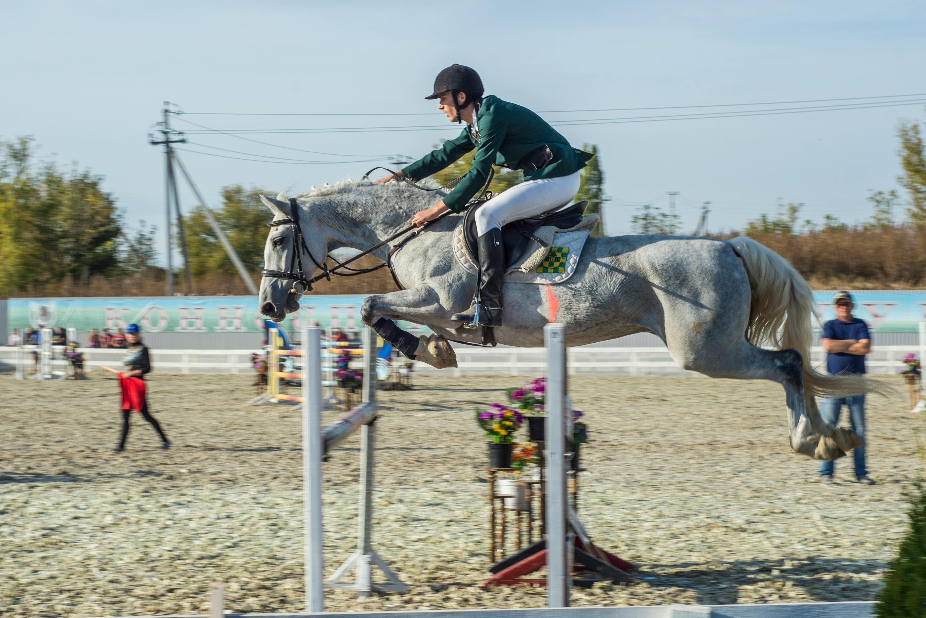 Showjumping Photos, Download The BEST Free Showjumping Stock Photos ...