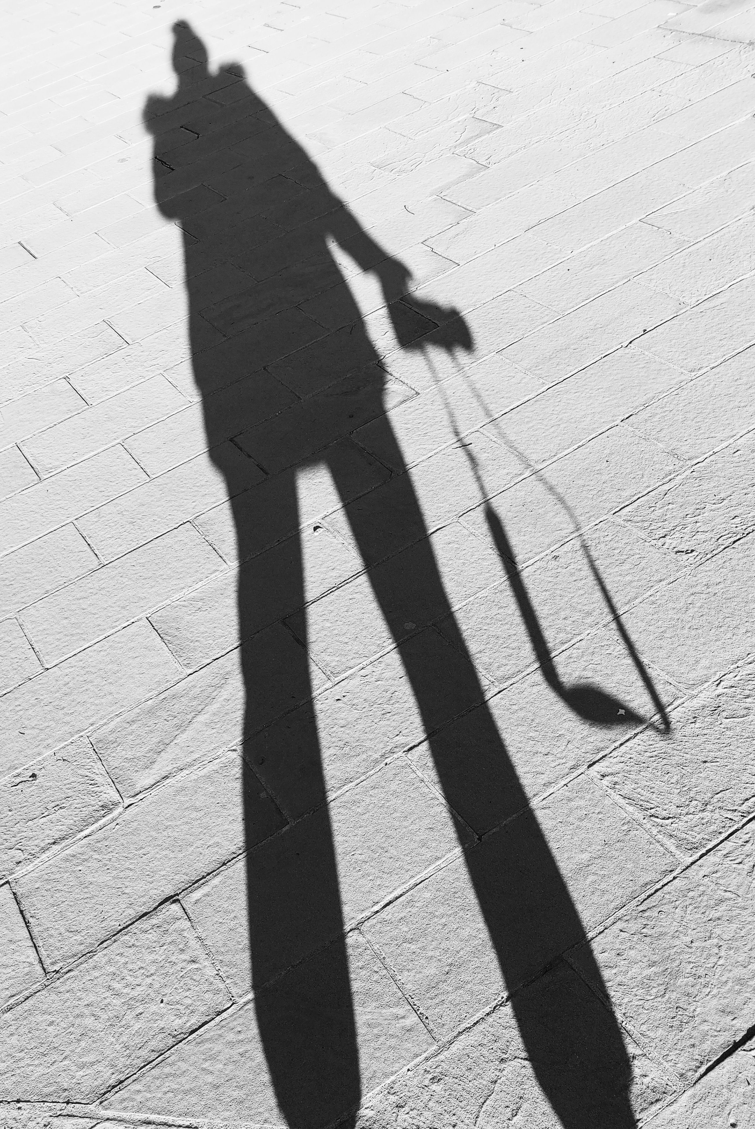 Shadow of a Person Standing on a Concrete Floor · Free Stock Photo