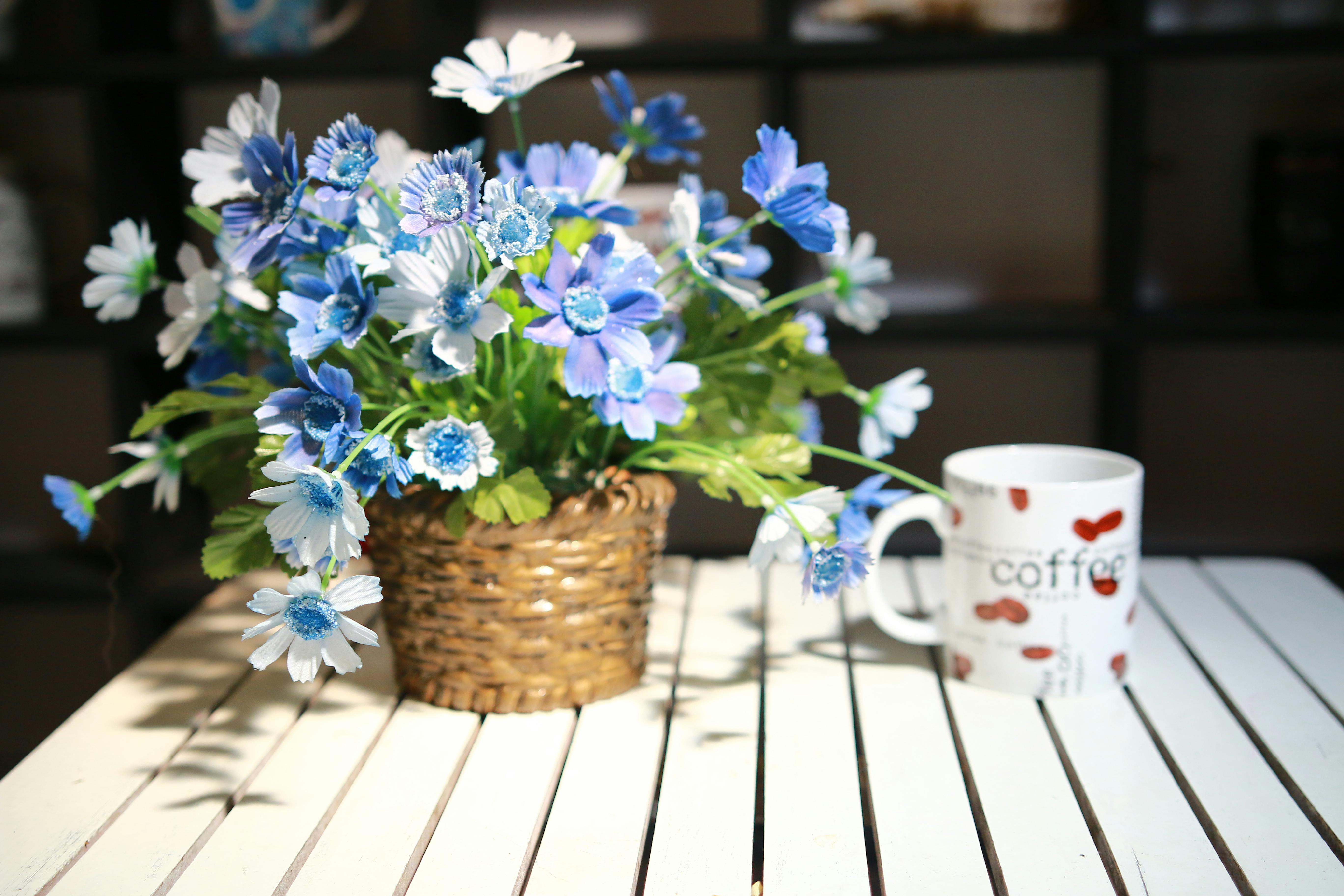 Free stock photo of cup, flowers