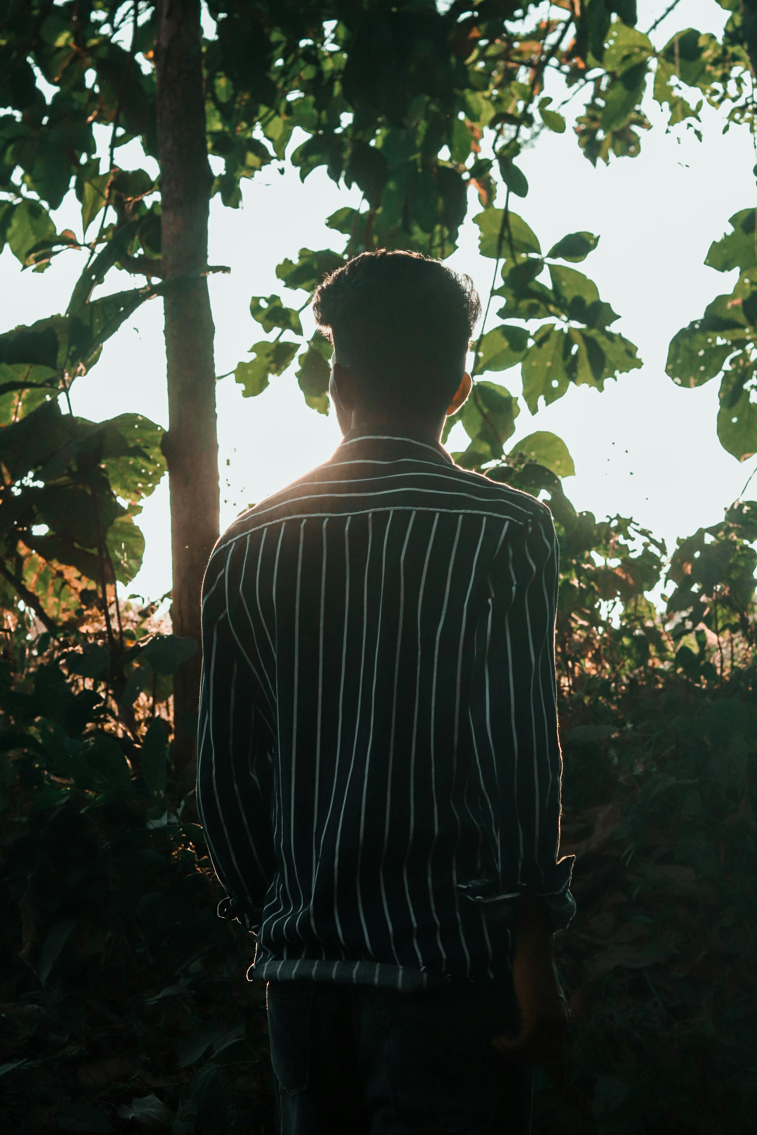 A Man Standing Beside a Banyan Tree · Free Stock Photo