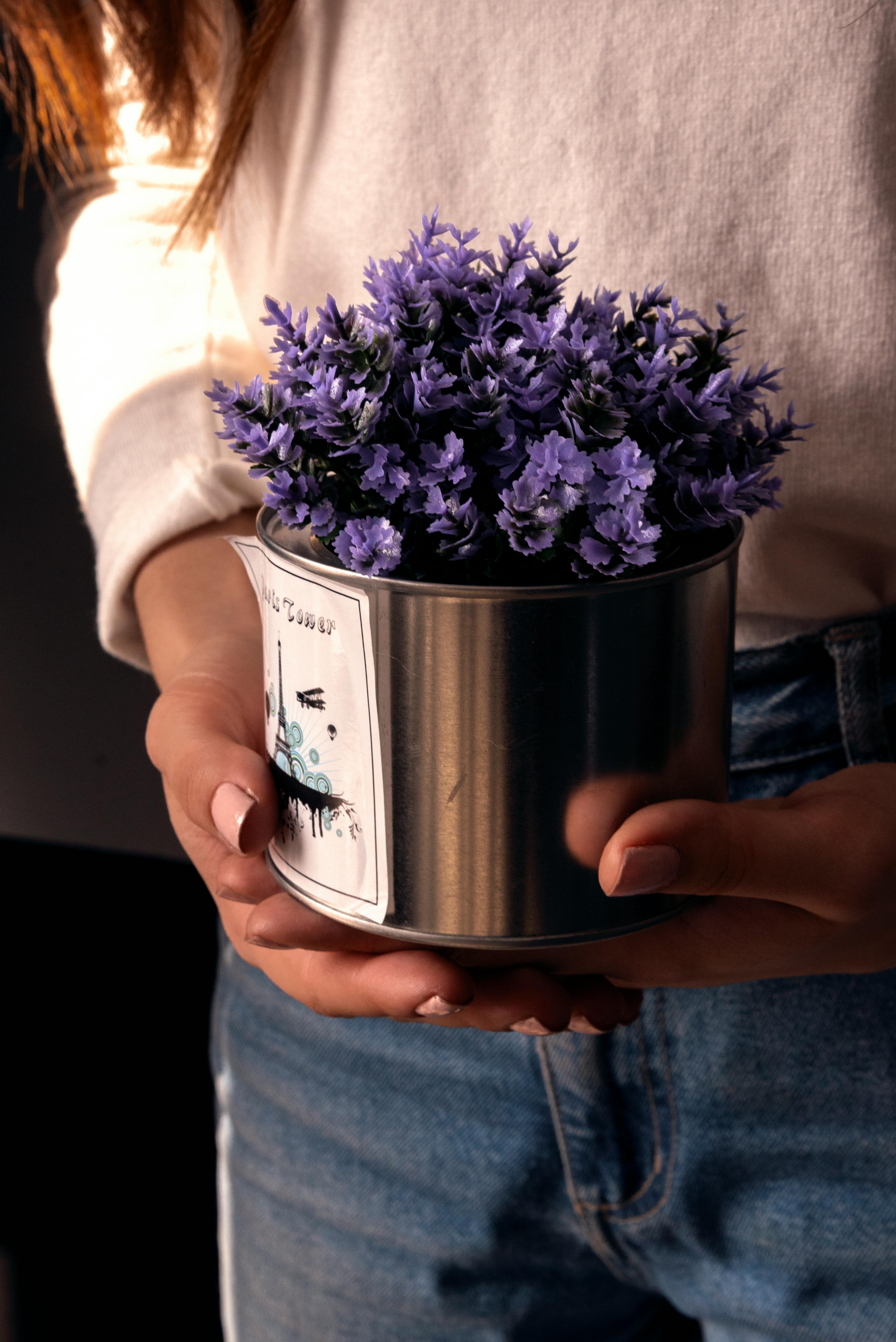 Person Holding Pink Rose · Free Stock Photo
