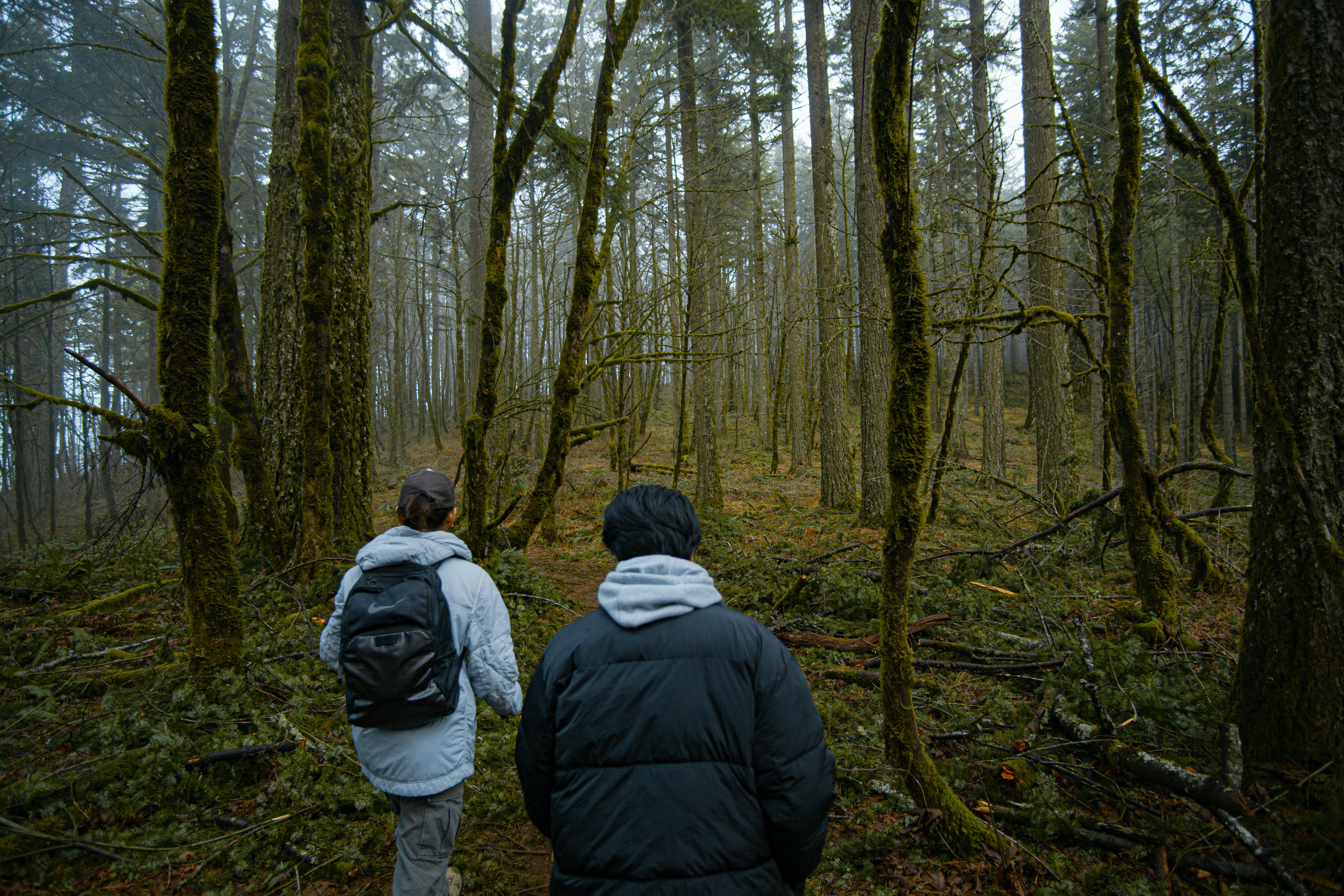People Walking in the Forest · Free Stock Photo