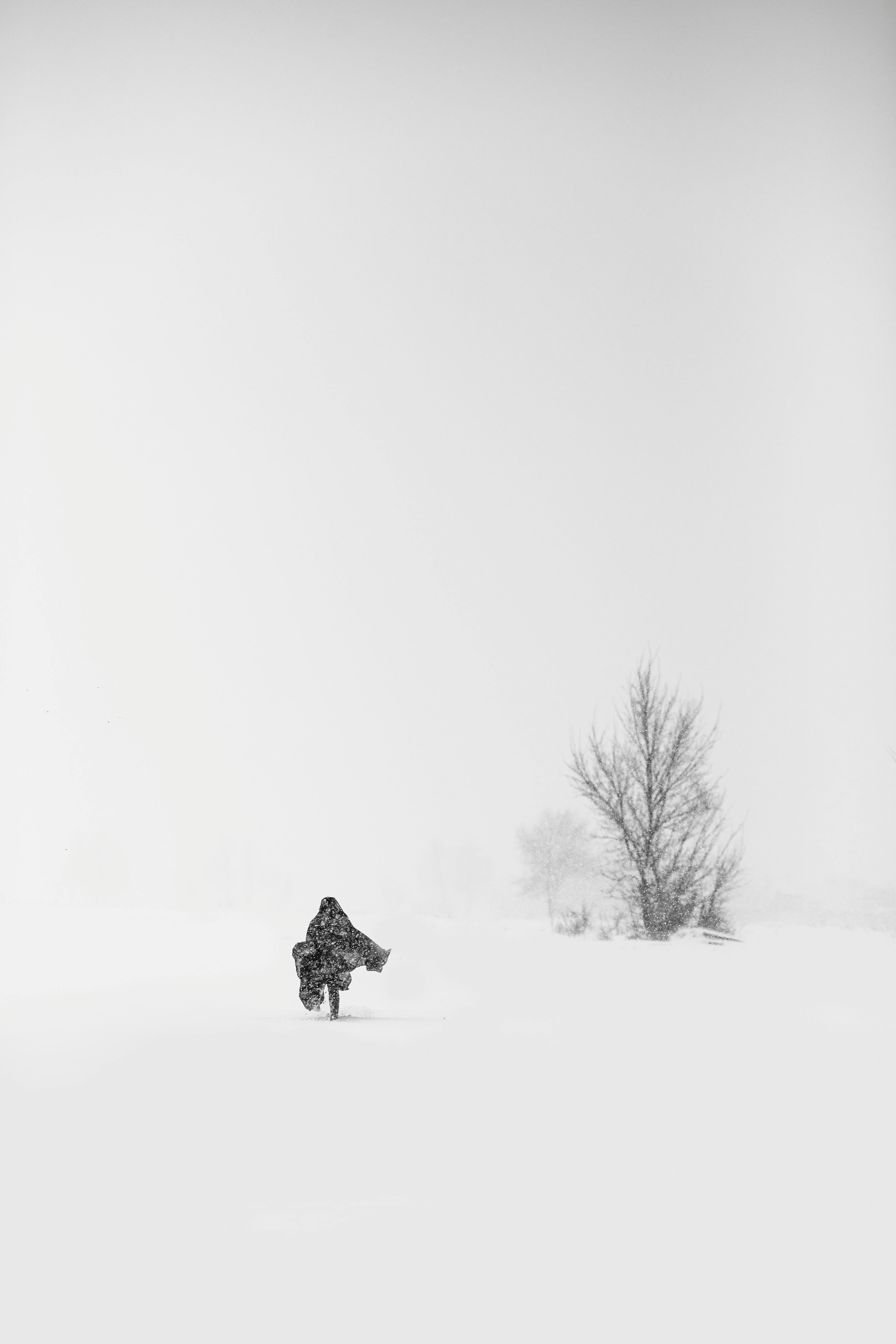 A Person Walking in Snow Covered Field · Free Stock Photo