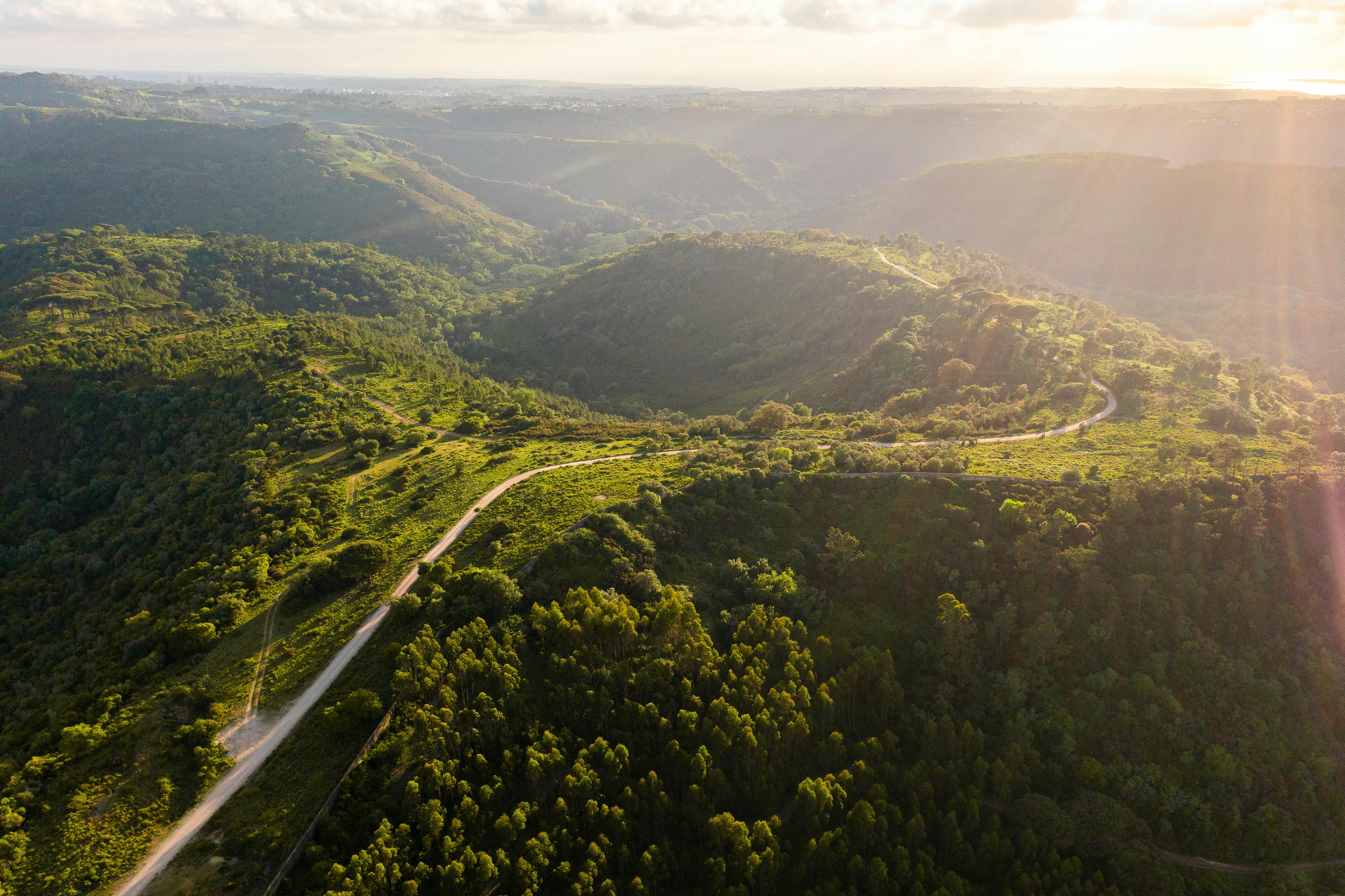 Aerial View of a Mountain Road · Free Stock Photo