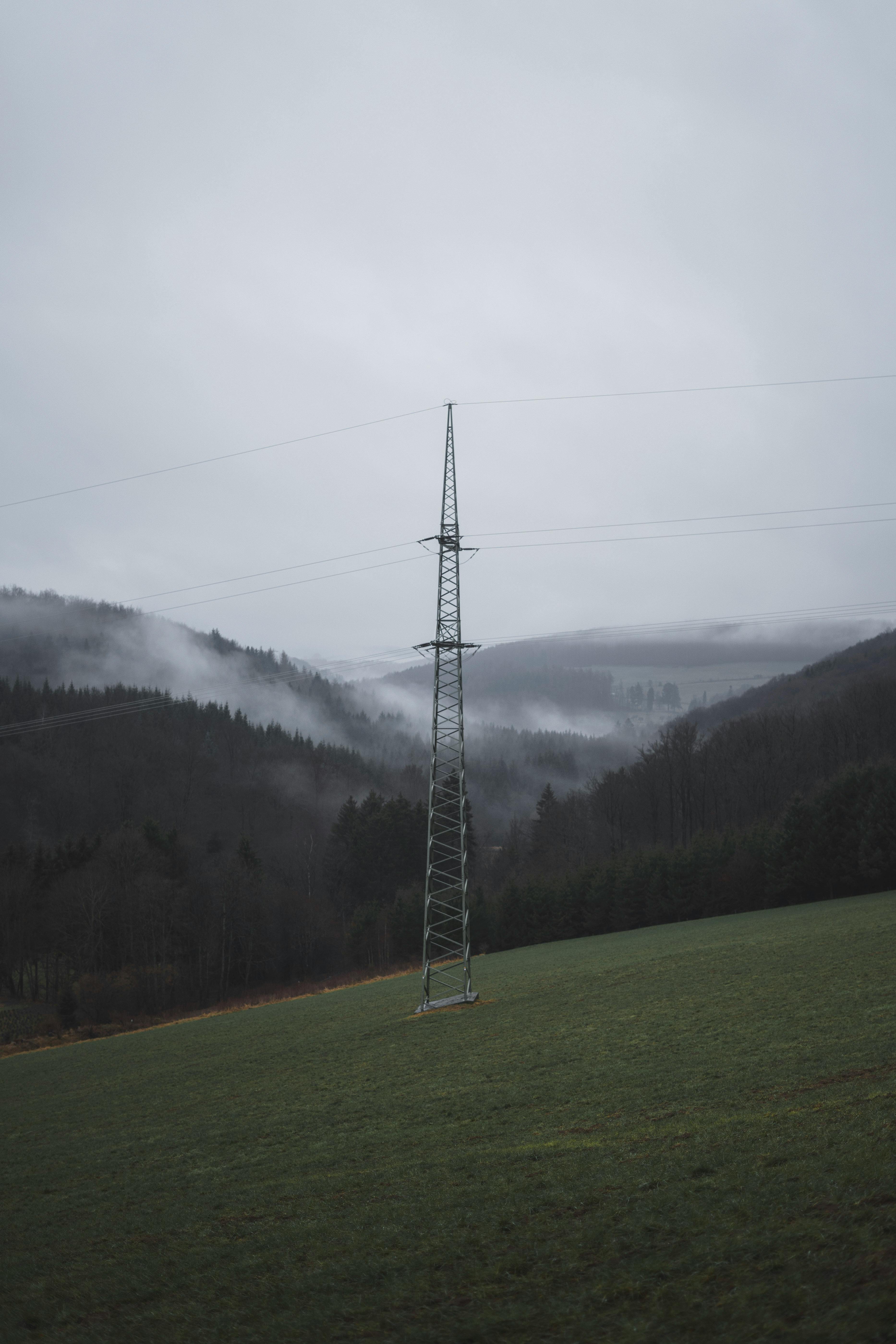 Morning Wire Photos, Download The BEST Free Morning Wire Stock Photos ...