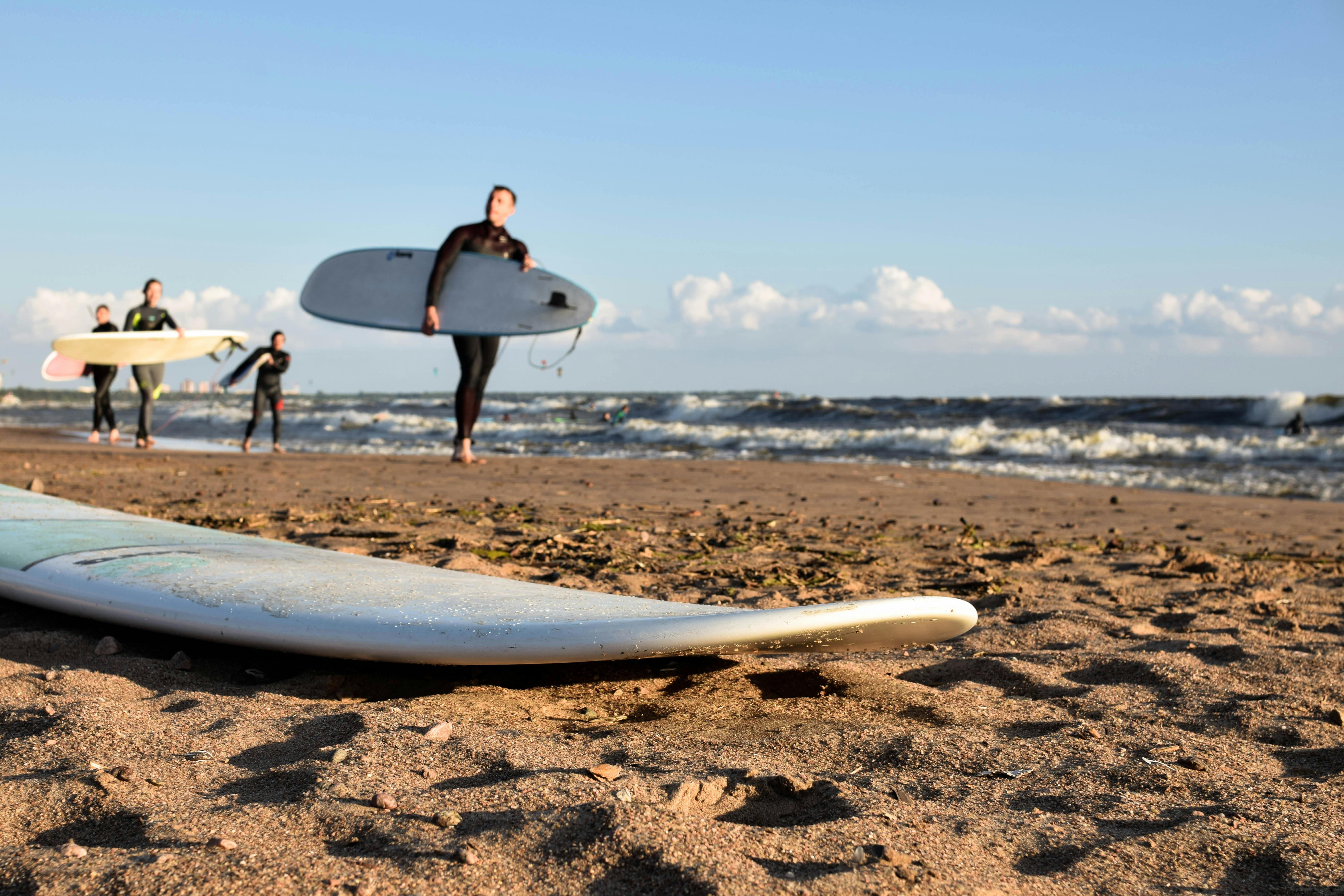 Brown Surfboard Near Log · Free Stock Photo