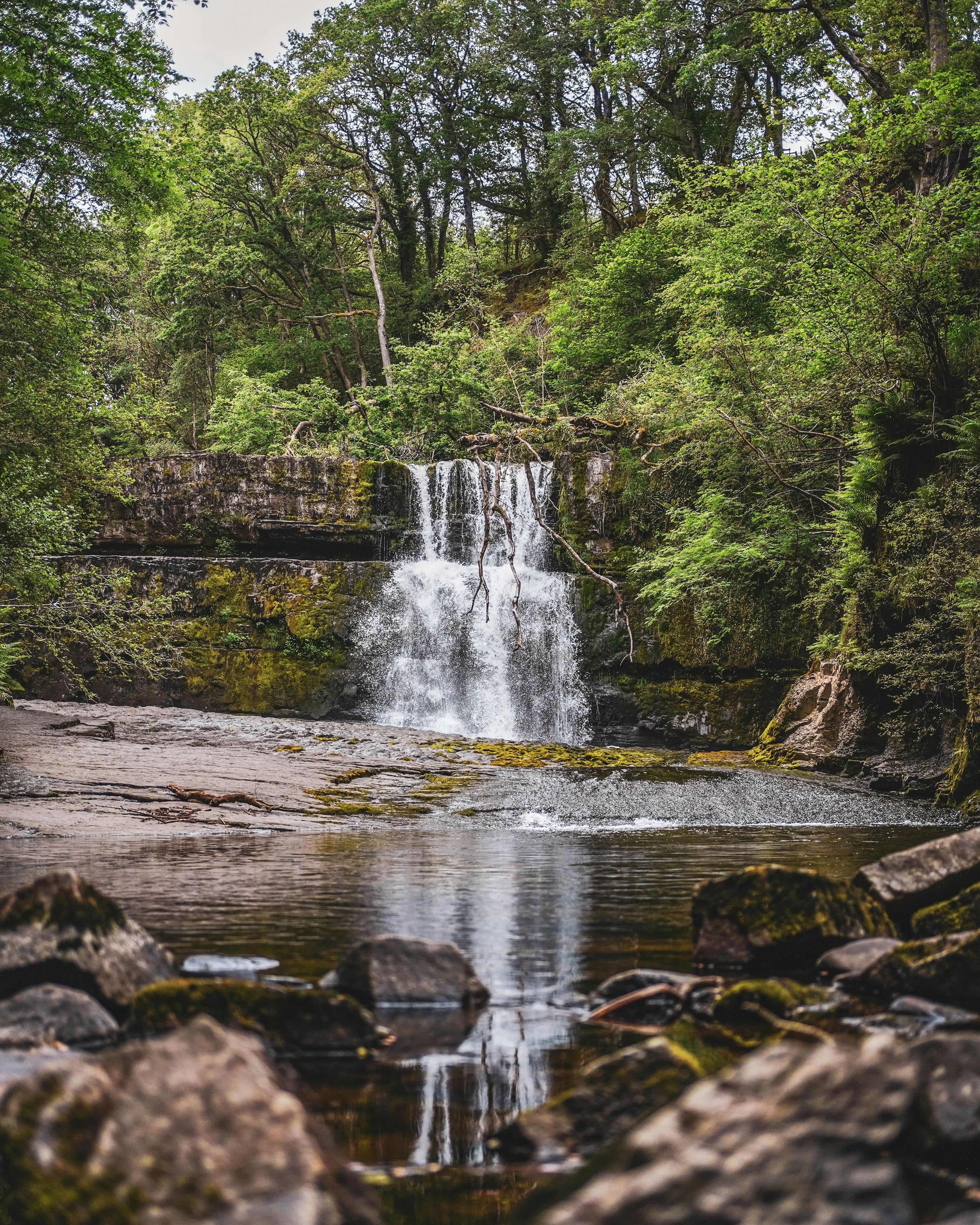 Waterfalls Beside Trees · Free Stock Photo