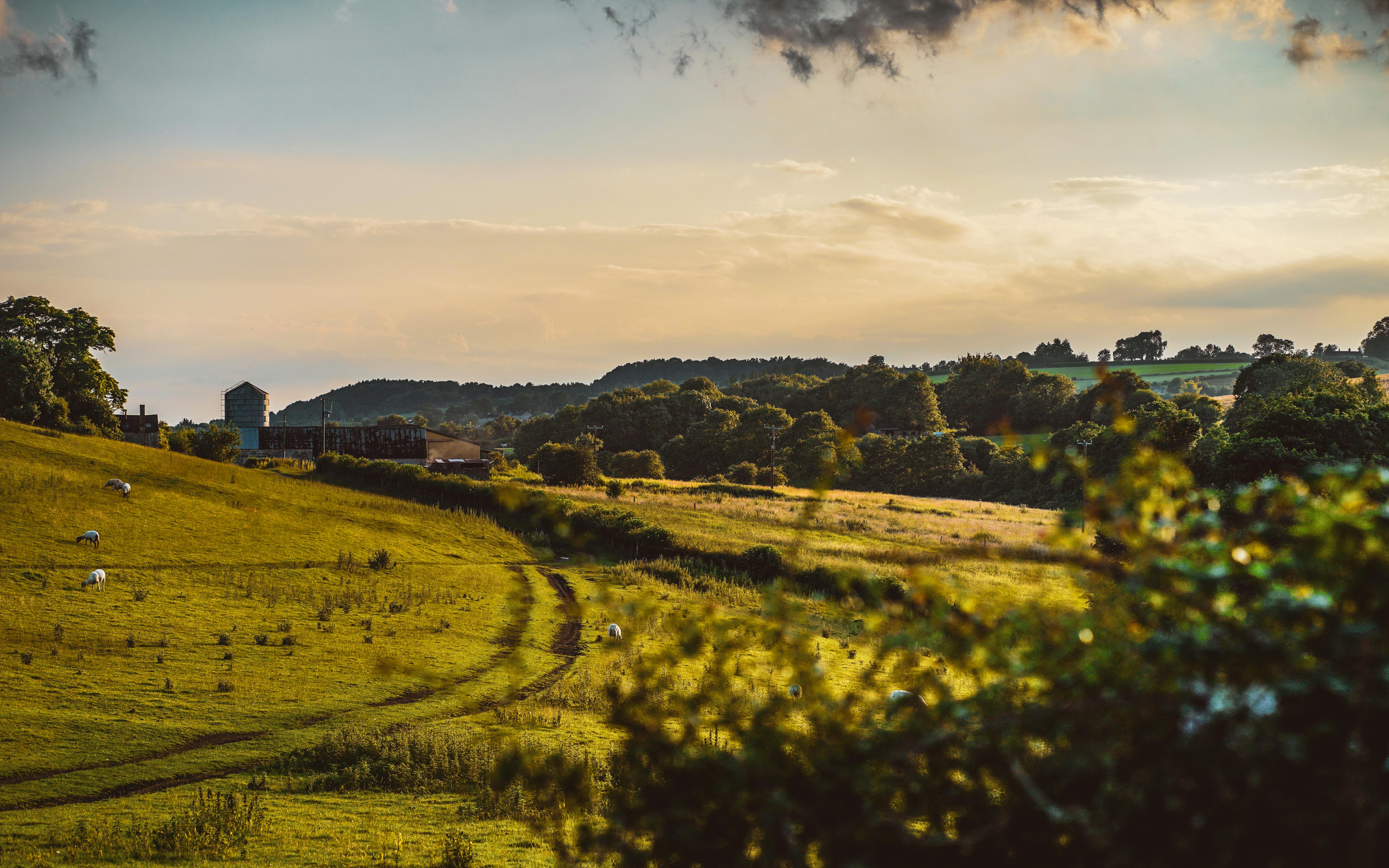 Idyllic Countryside Landscape · Free Stock Photo