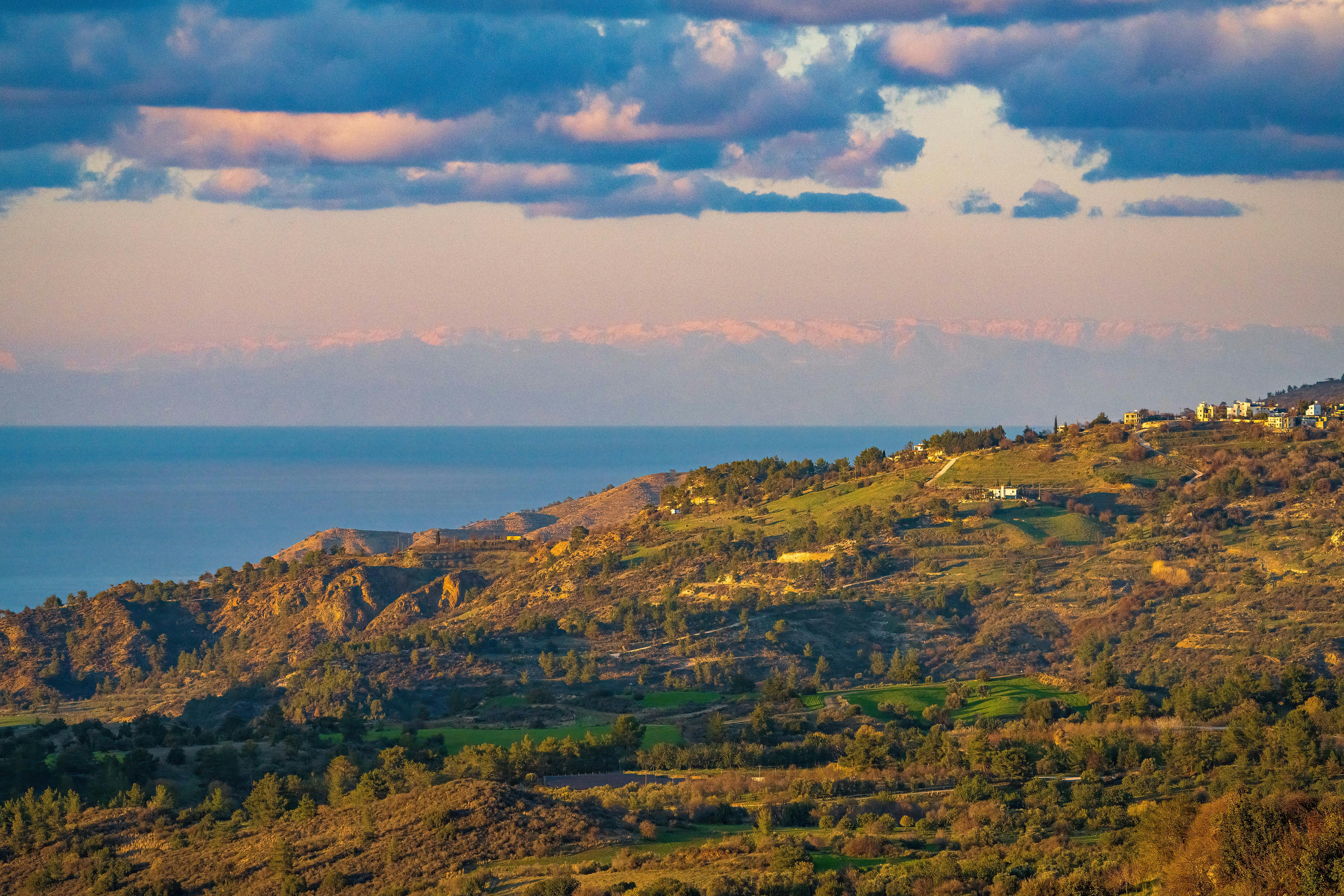 Aerial View of Trees on Mountain · Free Stock Photo