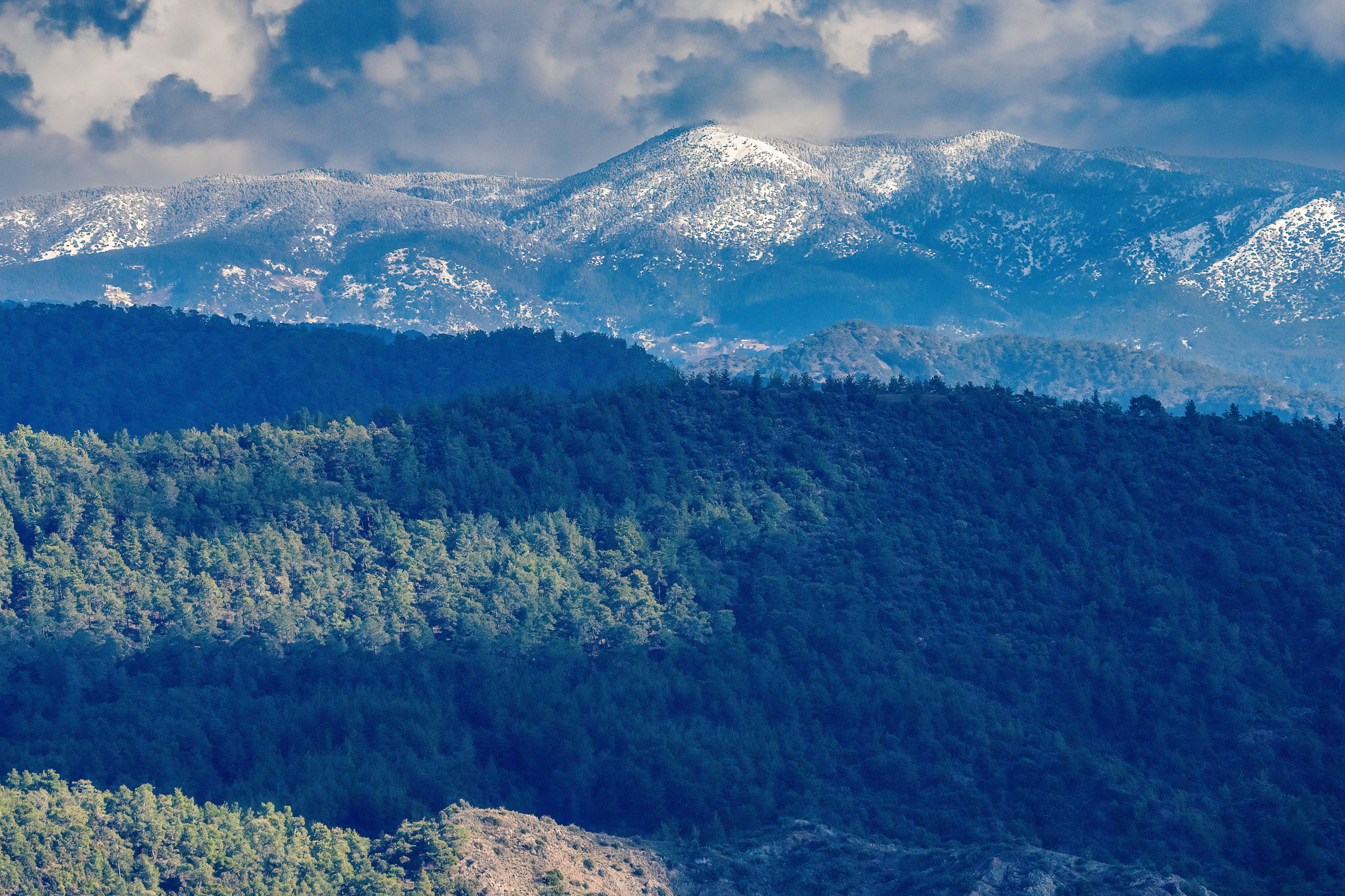 Foto de stock gratuita sobre arboles, bosque, denso, foto con dron ...