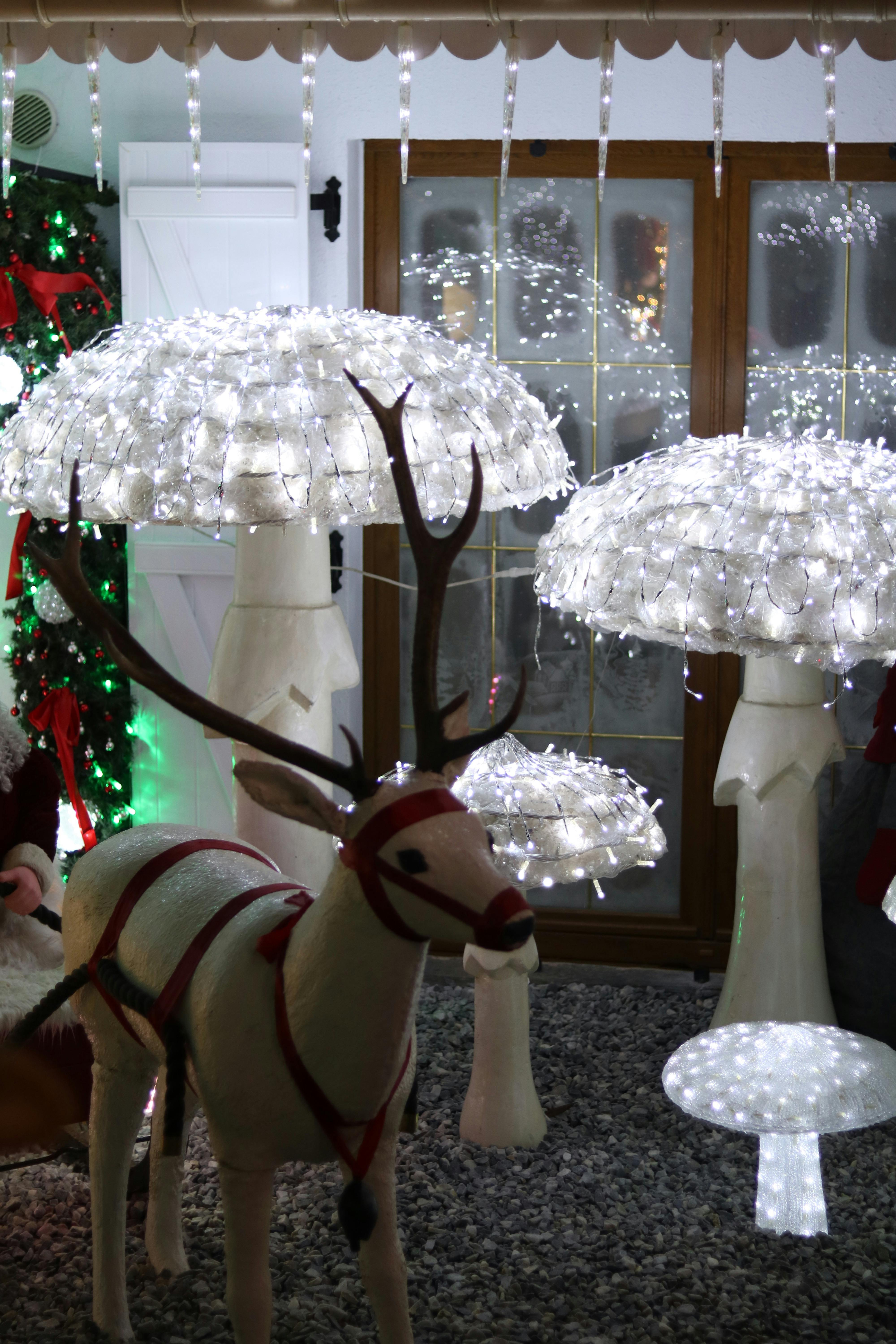 Assorted Colored Lanterns · Free Stock Photo