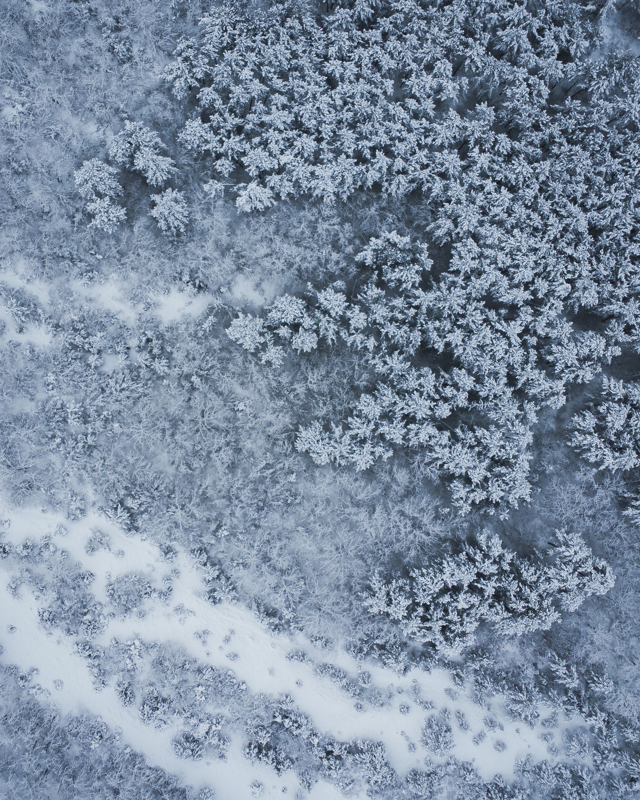 Aerial View of a Frozen River · Free Stock Photo