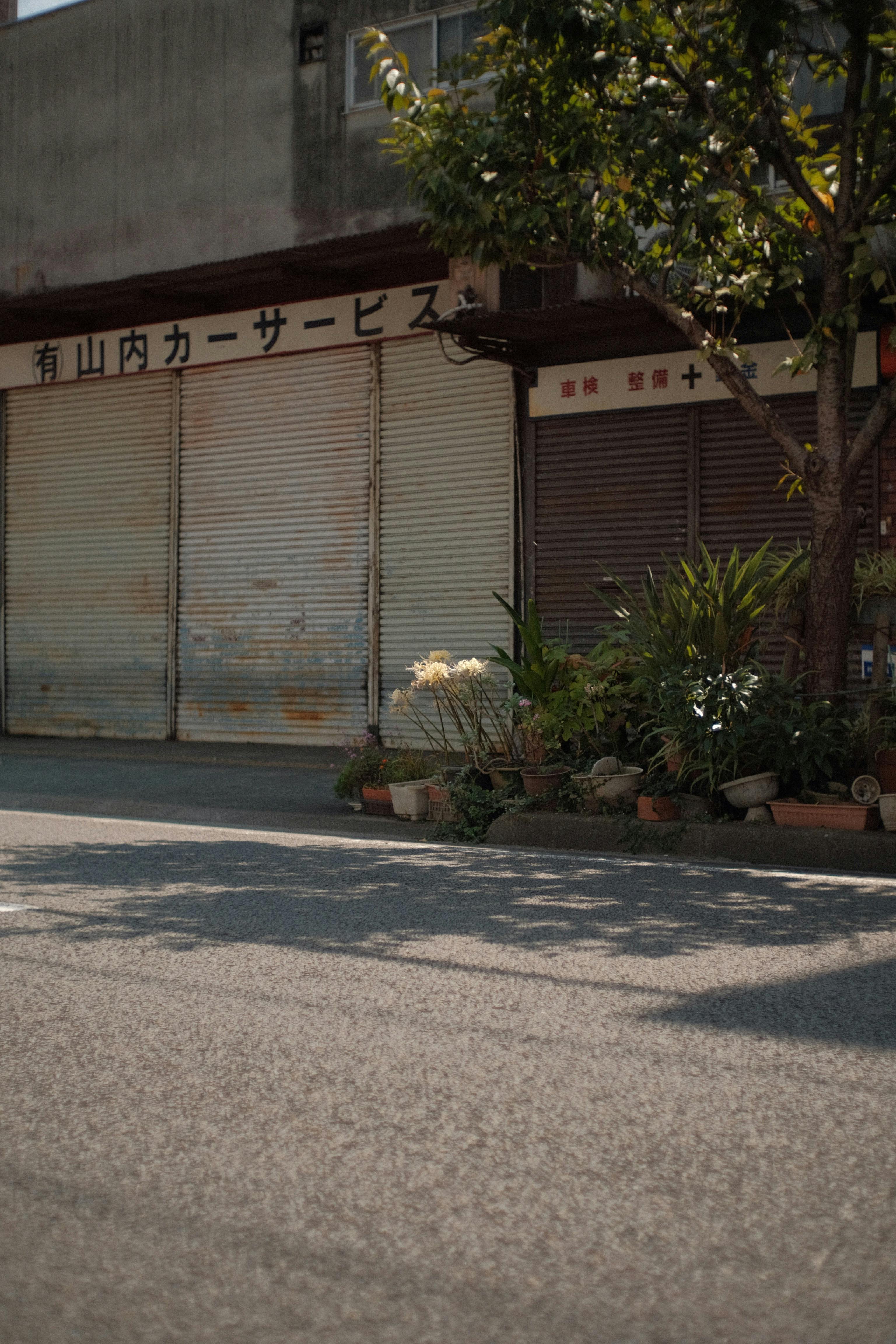 Japanese Stores Photos, Download The BEST Free Japanese Stores Stock ...