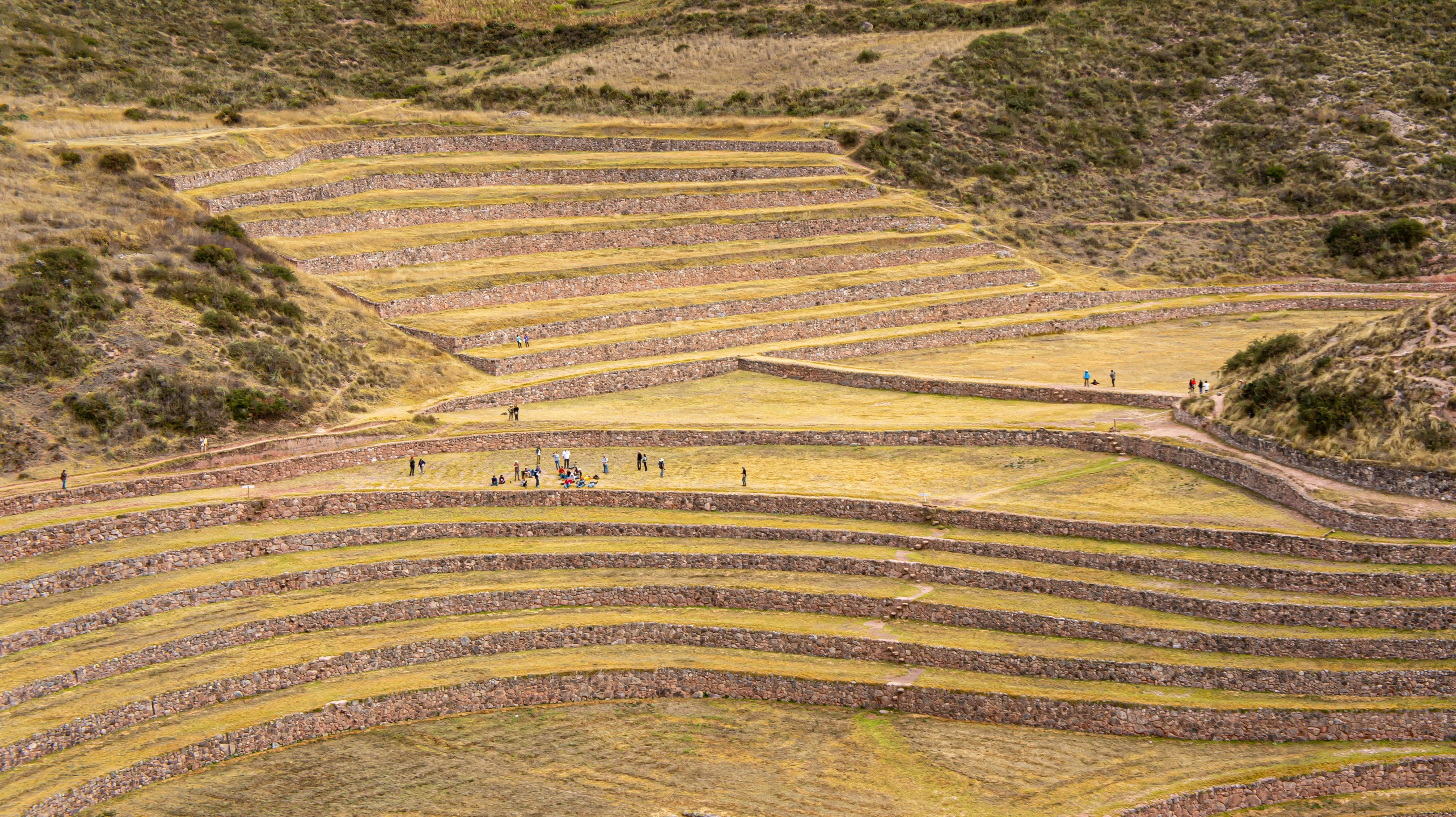 Andean Terraces Photos, Download The BEST Free Andean Terraces Stock ...