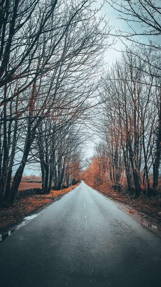 1,000,000+ Best Nature Wallpaper Photos · 100% Free Download · Pexels ...
