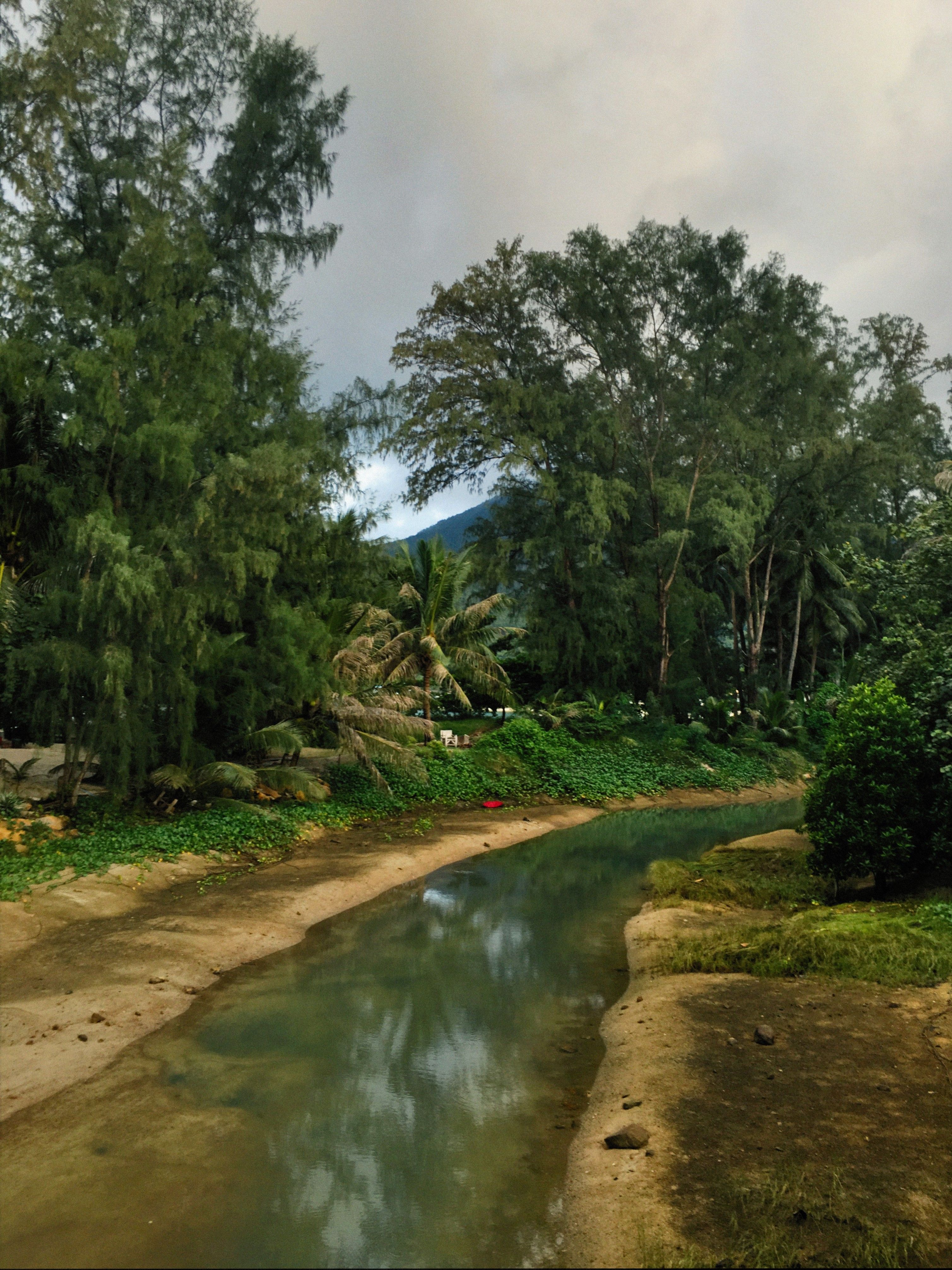 Unedited Scenery Photos, Download The BEST Free Unedited Scenery Stock ...